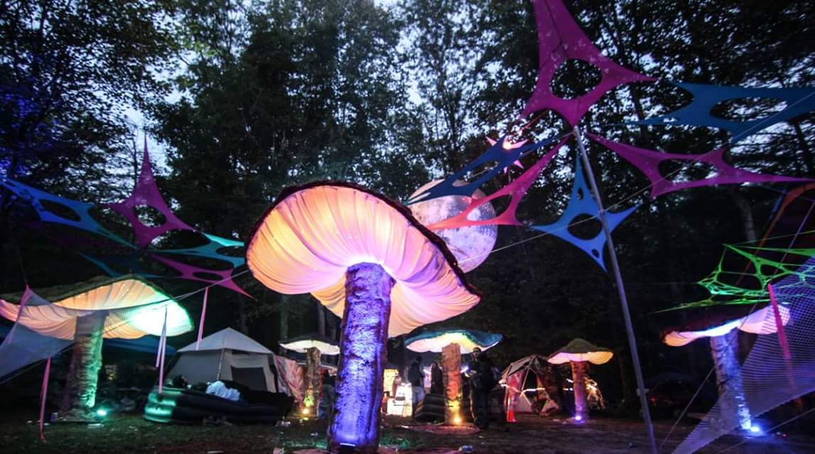 Giant Mushrooms : 5 Steps (with Pictures) - Instructables