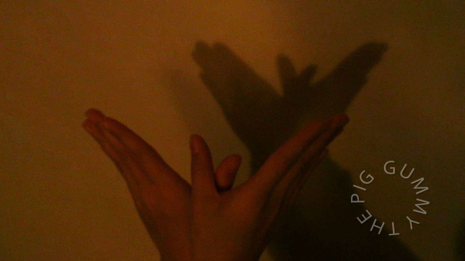How to Make Shadow Puppets Tutorial #1 : 5 Steps - Instructables