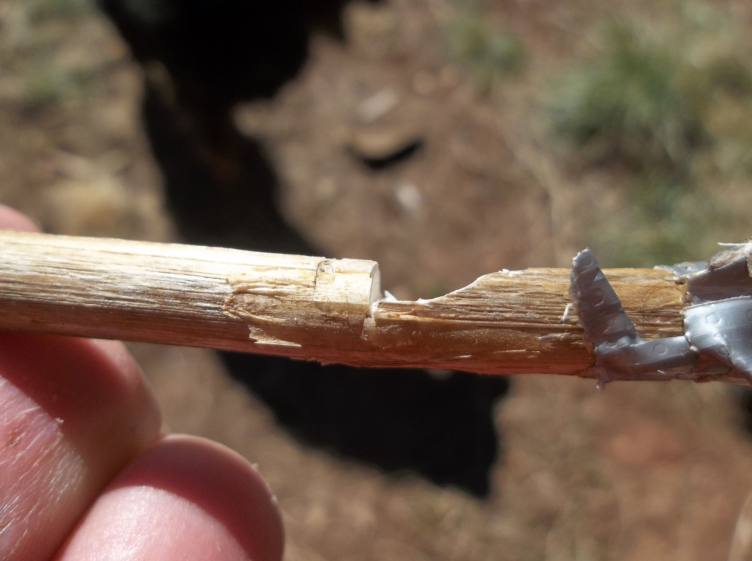 The Pathfinder Dart- Atlatl Using String(With Duct Tape Fletching) : 6 ...