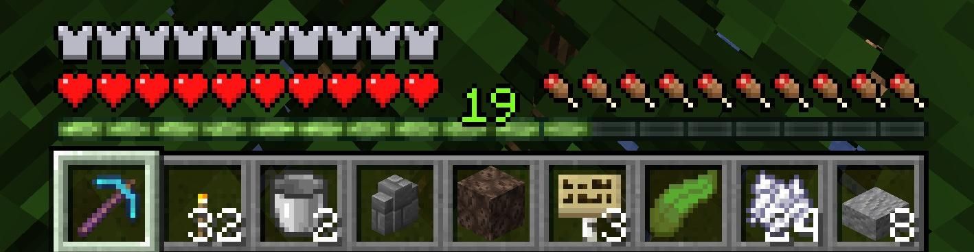 GUIDE TO BUILDING a MINECRAFT MOB GRINDER : 9 Steps - Instructables