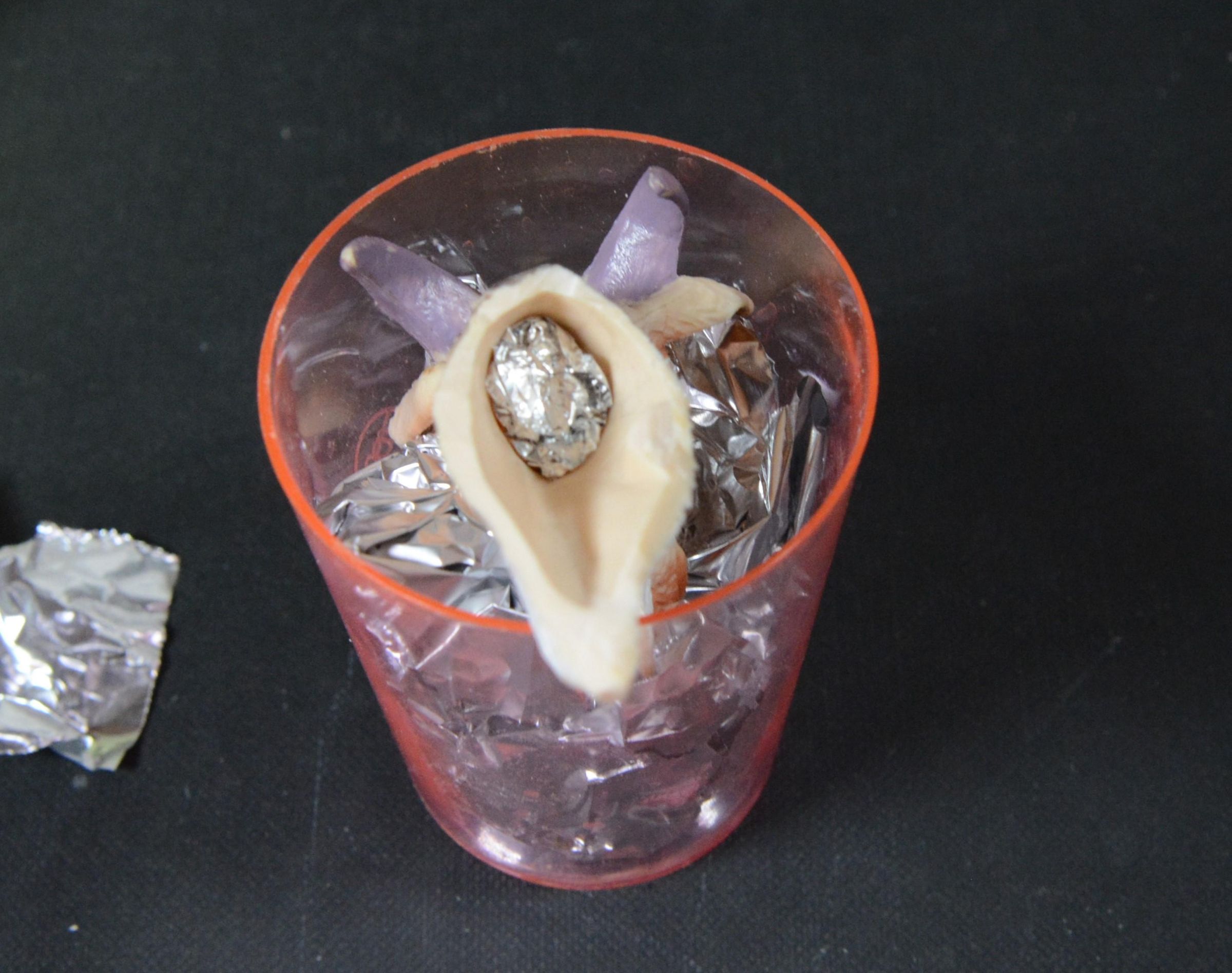 Miniature Animal Head Mounts- Faux Taxidermy Brooches : 6 Steps (with ...