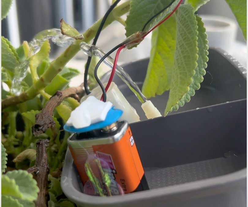 Arduino-Powered Automatic Plant Watering System : 12 Steps (with ...