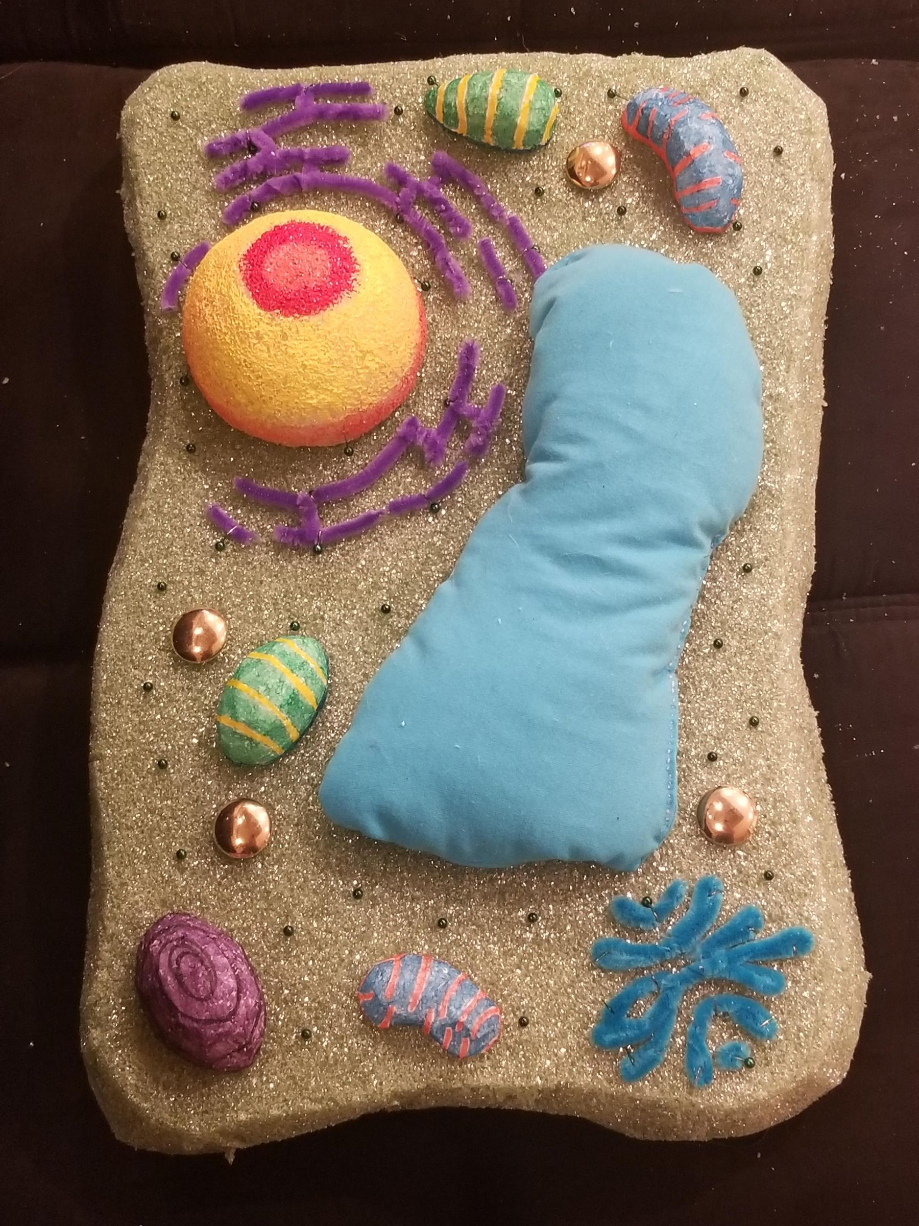 Cell Model Educational Model From Recycled Materials : 5 Steps (with ...