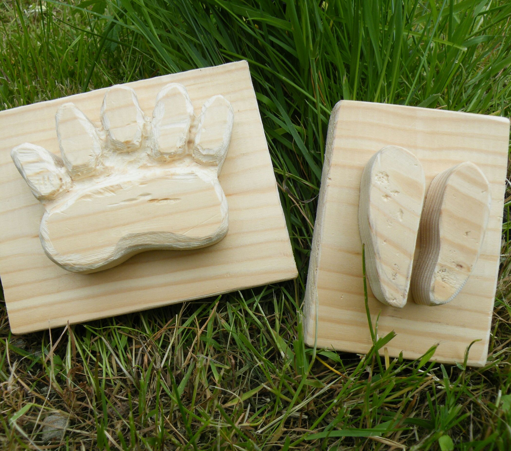 Animal Tracks for Plaster Casting. : 5 Steps (with Pictures ...