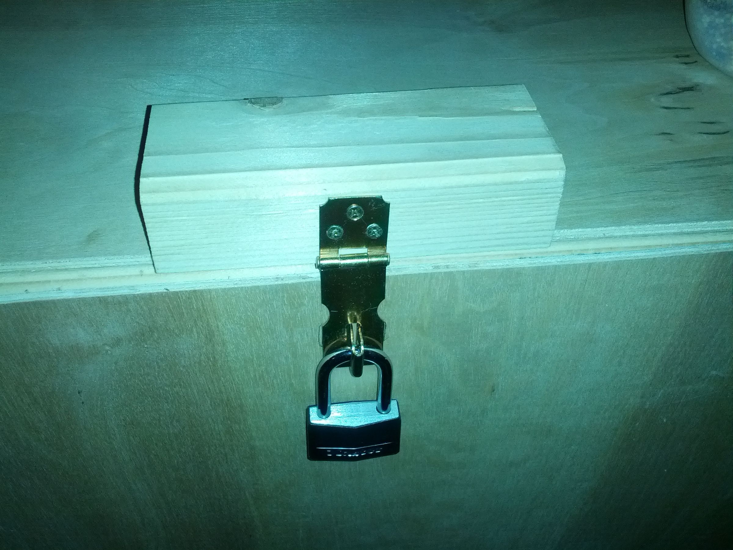 Build a Brooder for Your Chicks : 5 Steps (with Pictures) - Instructables