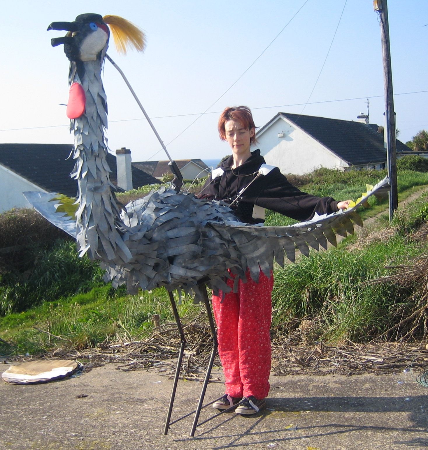 Puppet - Ugandan Crested Crane : 6 Steps (with Pictures) - Instructables