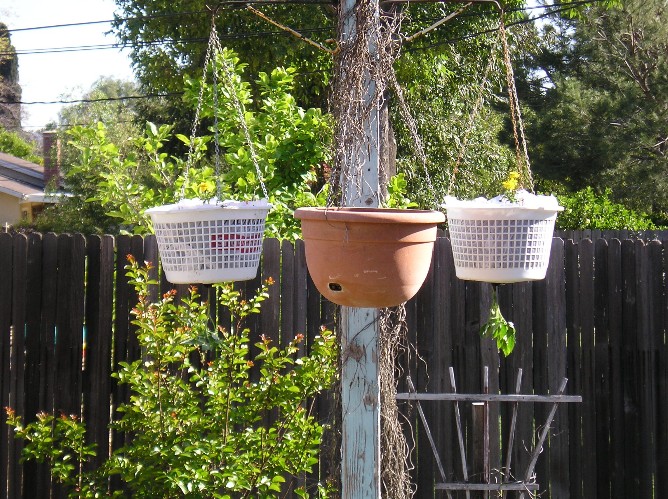 Make Virtually Free Hanging Planters/Upside Down Tomatoes : 6 Steps ...