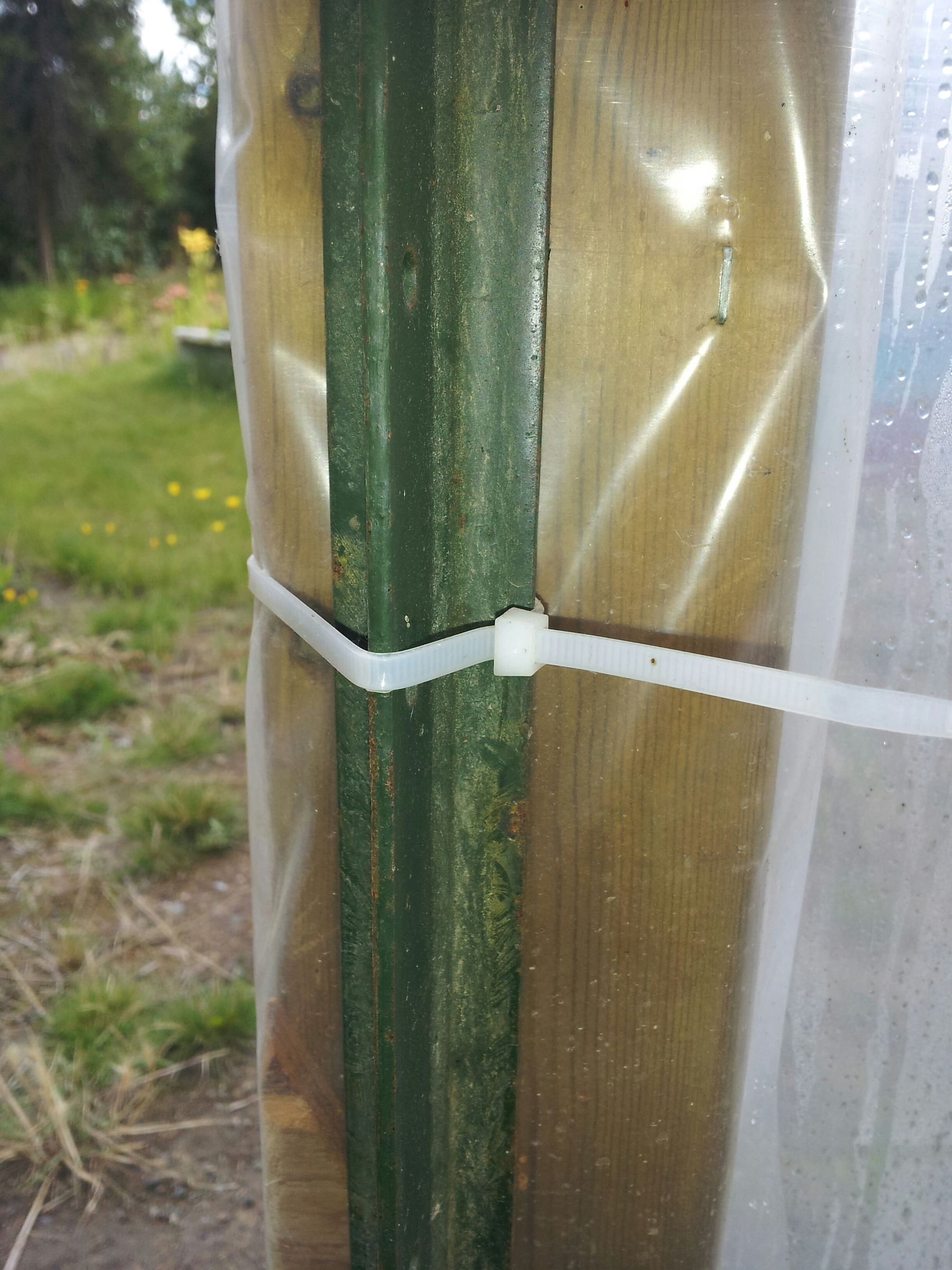 A Greenhouse for the North : 8 Steps (with Pictures) - Instructables