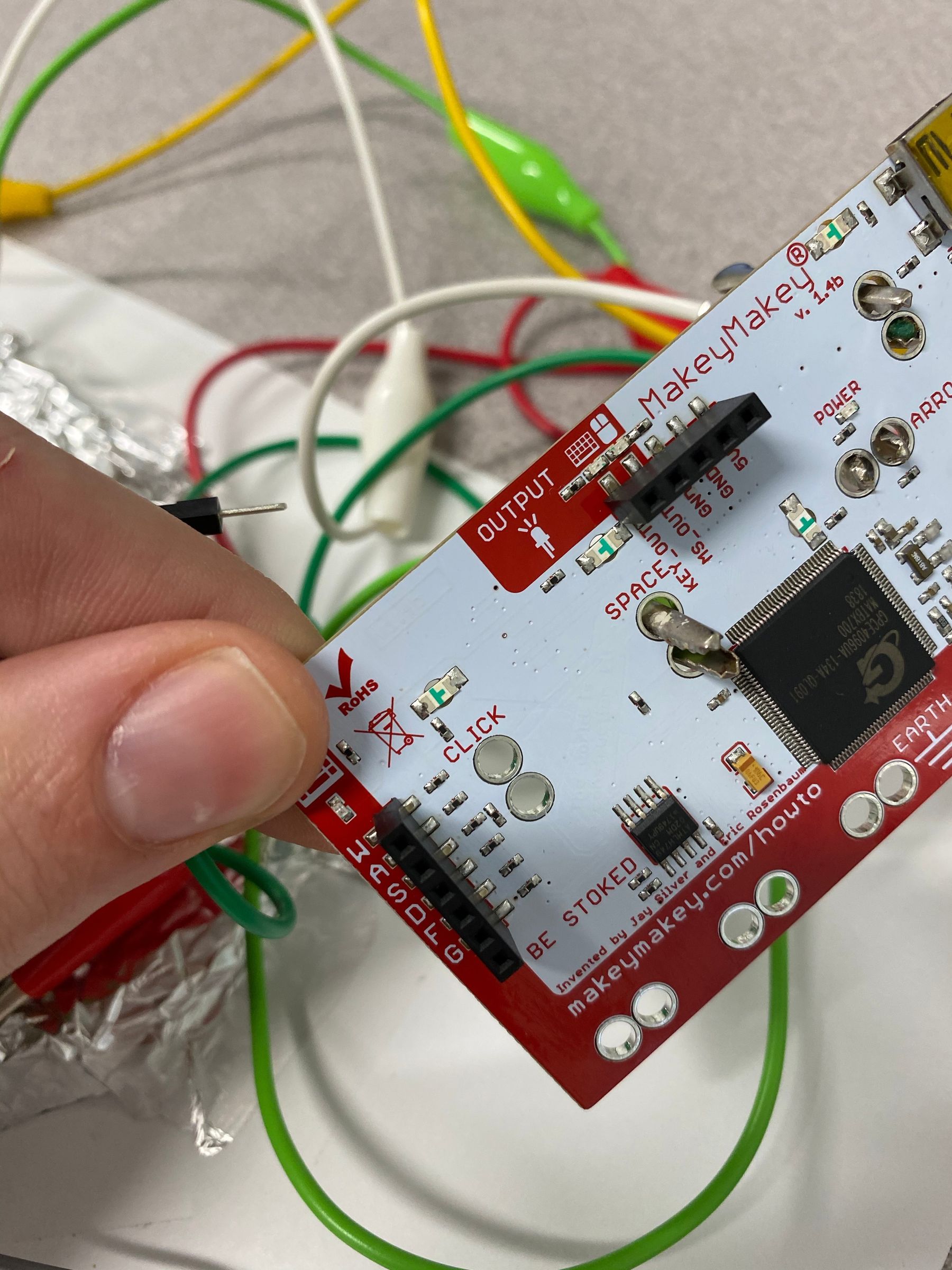 Plant Cell Operation With Makey Makey : 5 Steps (with Pictures ...
