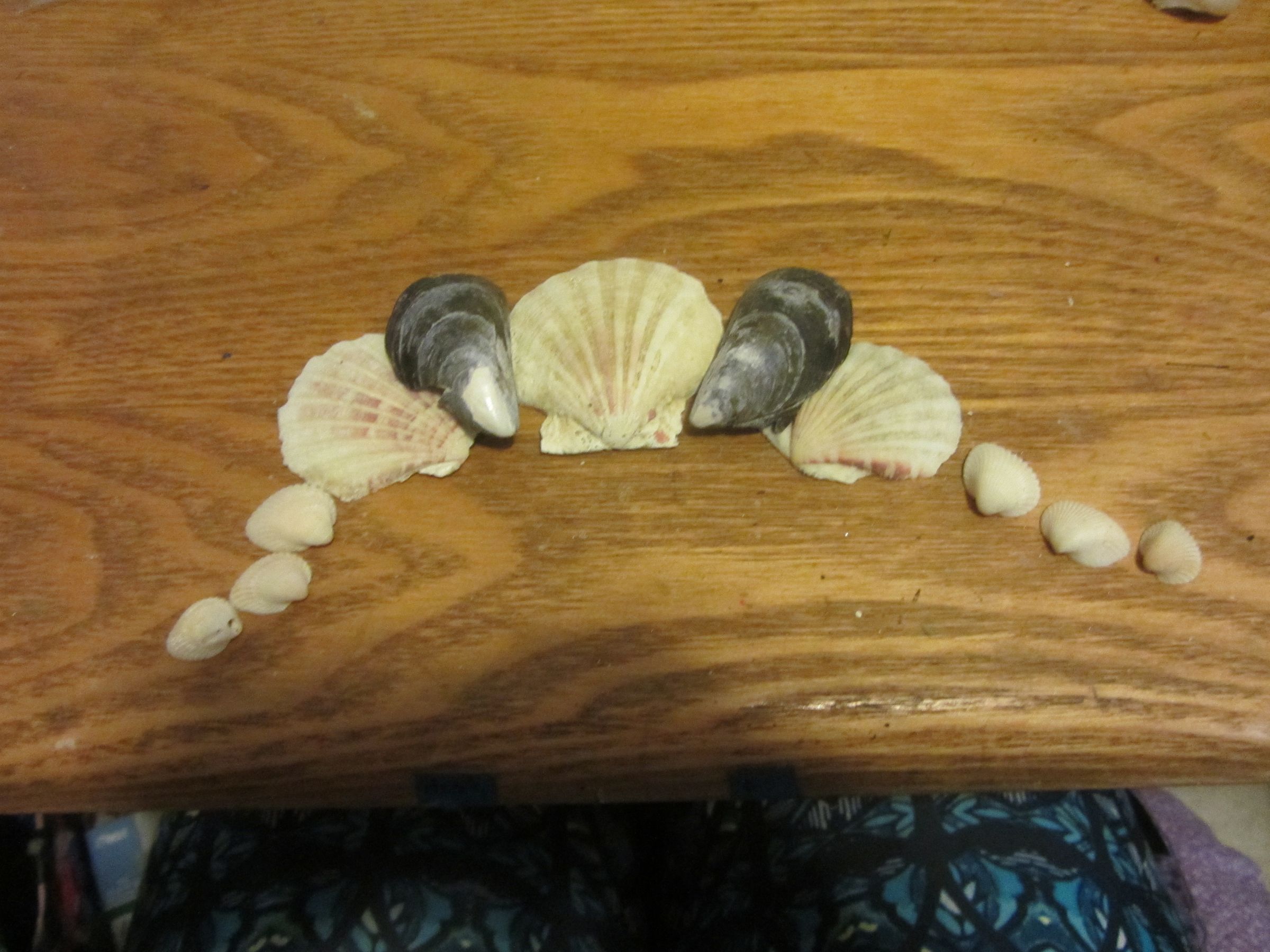 DIY Simple Mermaid Shell Crown : 7 Steps (with Pictures) - Instructables