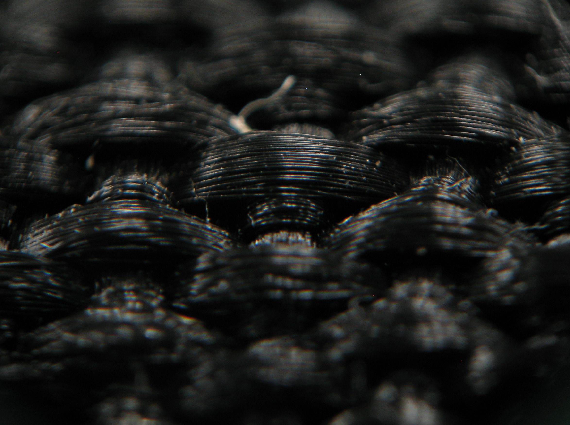 Another DIY Micro-Macro Lens : 14 Steps (with Pictures) - Instructables