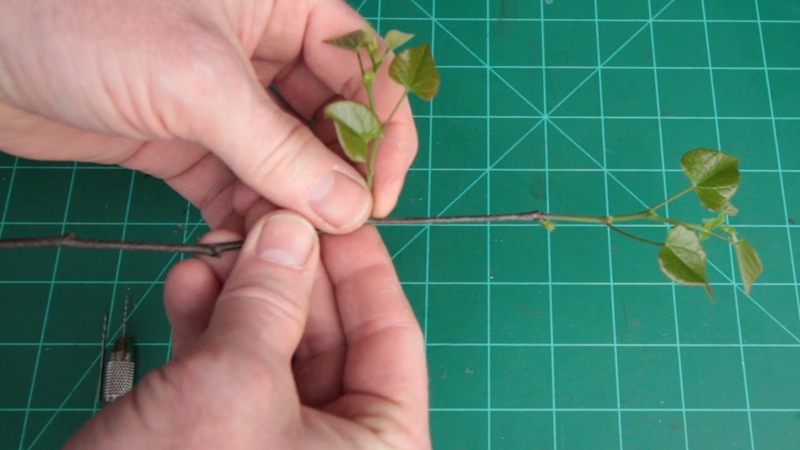 Tiny Gee Haw Whimmy Diddle : 12 Steps (with Pictures) - Instructables