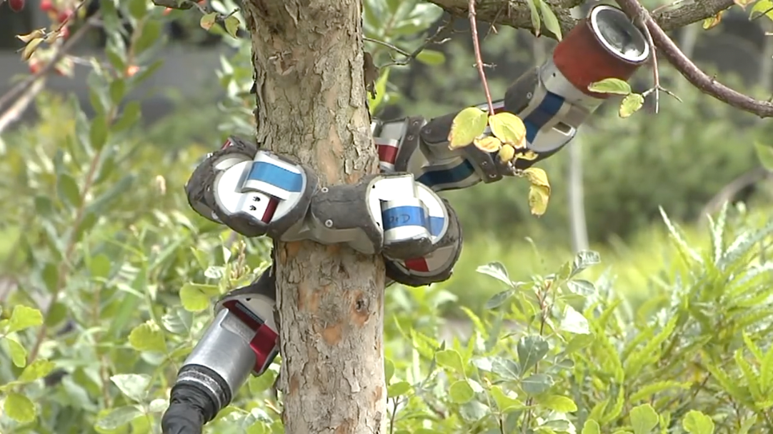Bioinspired Robotic Snake : 16 Steps (with Pictures) - Instructables
