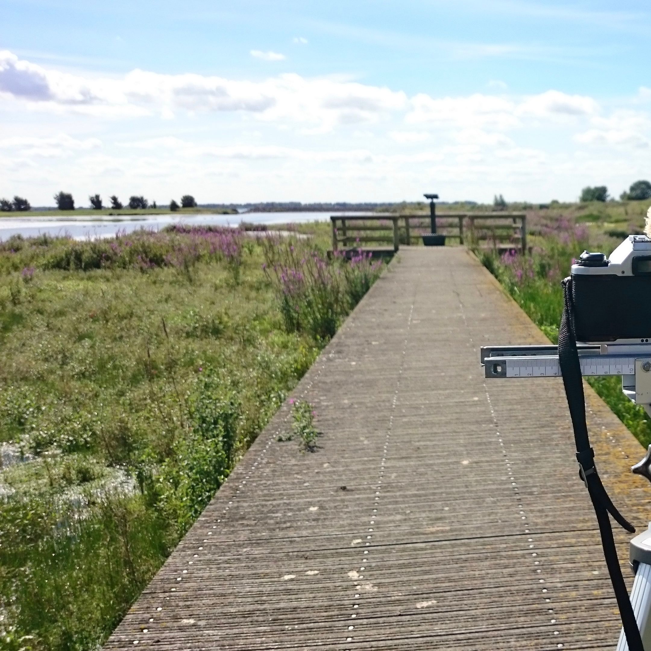 DIY Viewmaster Reels : 7 Steps (with Pictures) - Instructables