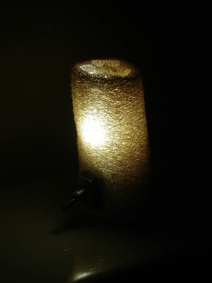 LED Sponge Lamp : 4 Steps - Instructables