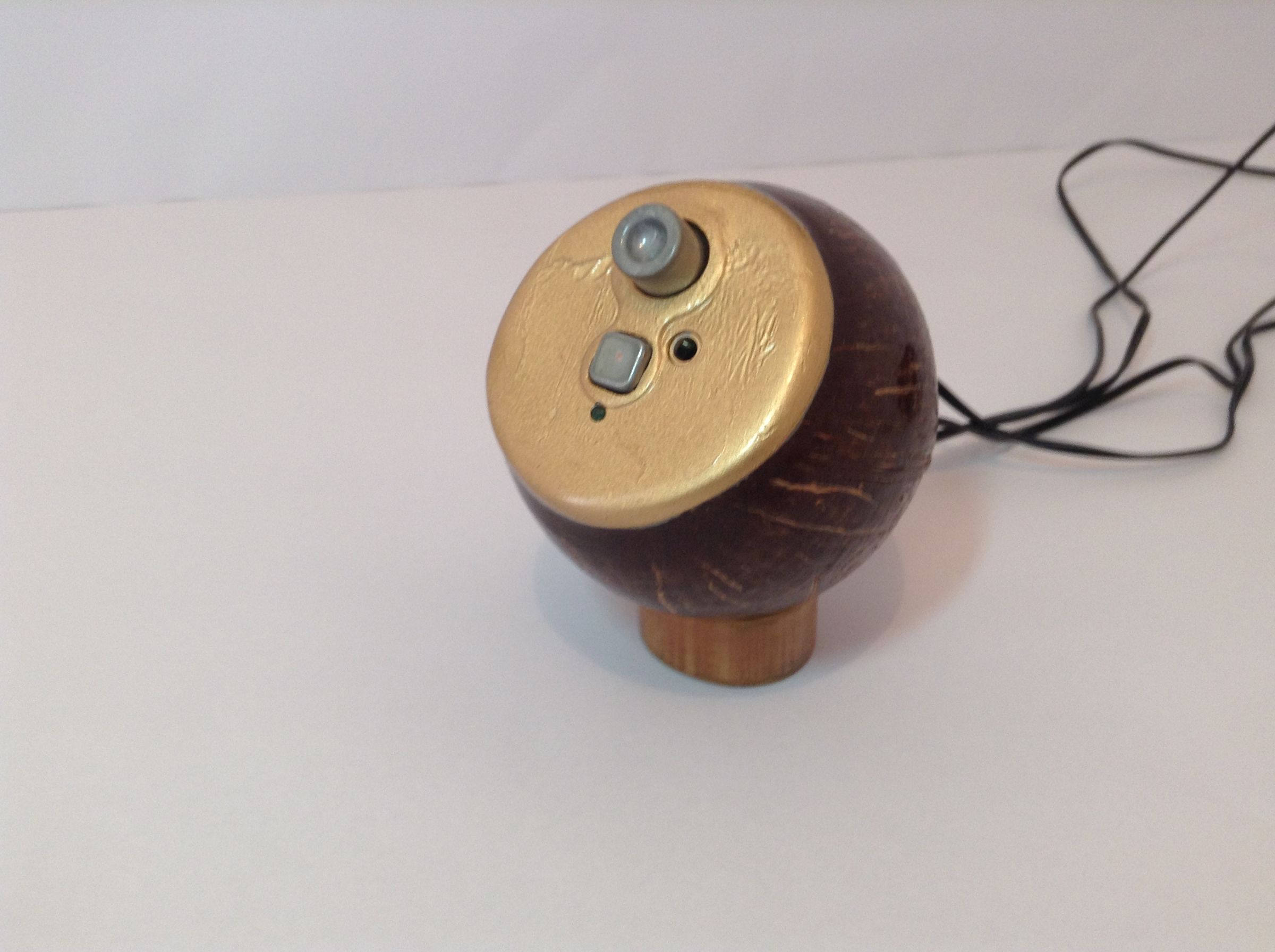 Coconut Speaker. : 4 Steps (with Pictures) - Instructables