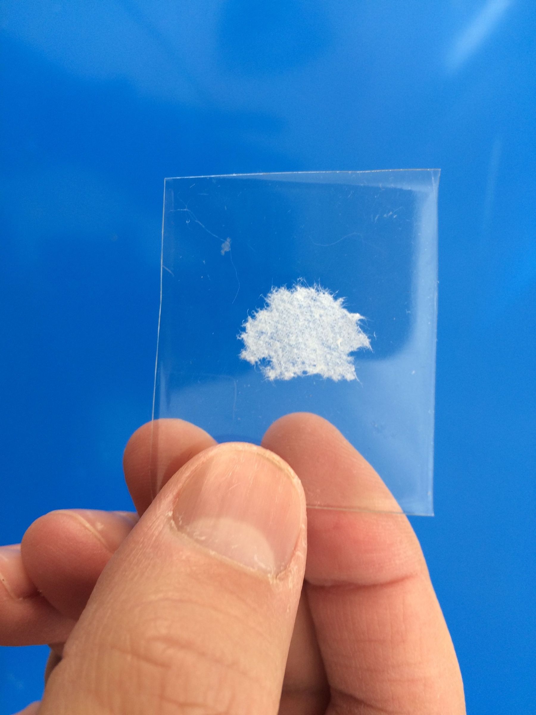 Low-cost Fluorescence and Brightfield Microscopes : 9 Steps (with ...