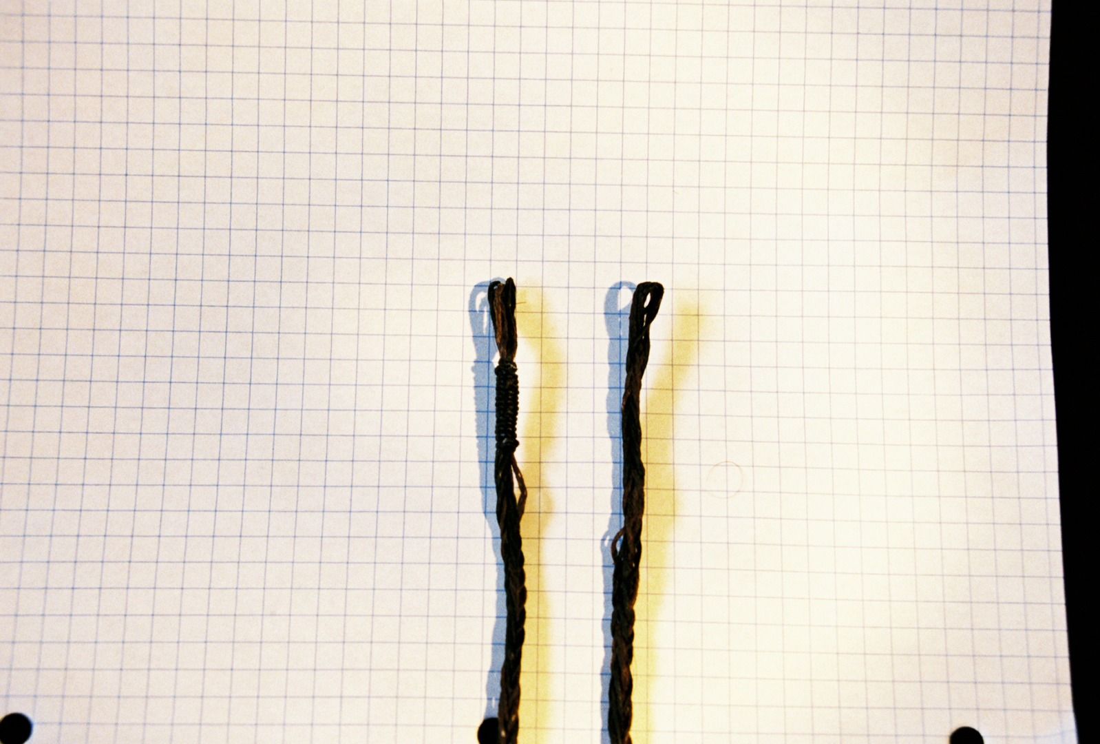 Paw Bone Necklace : 7 Steps (with Pictures) - Instructables