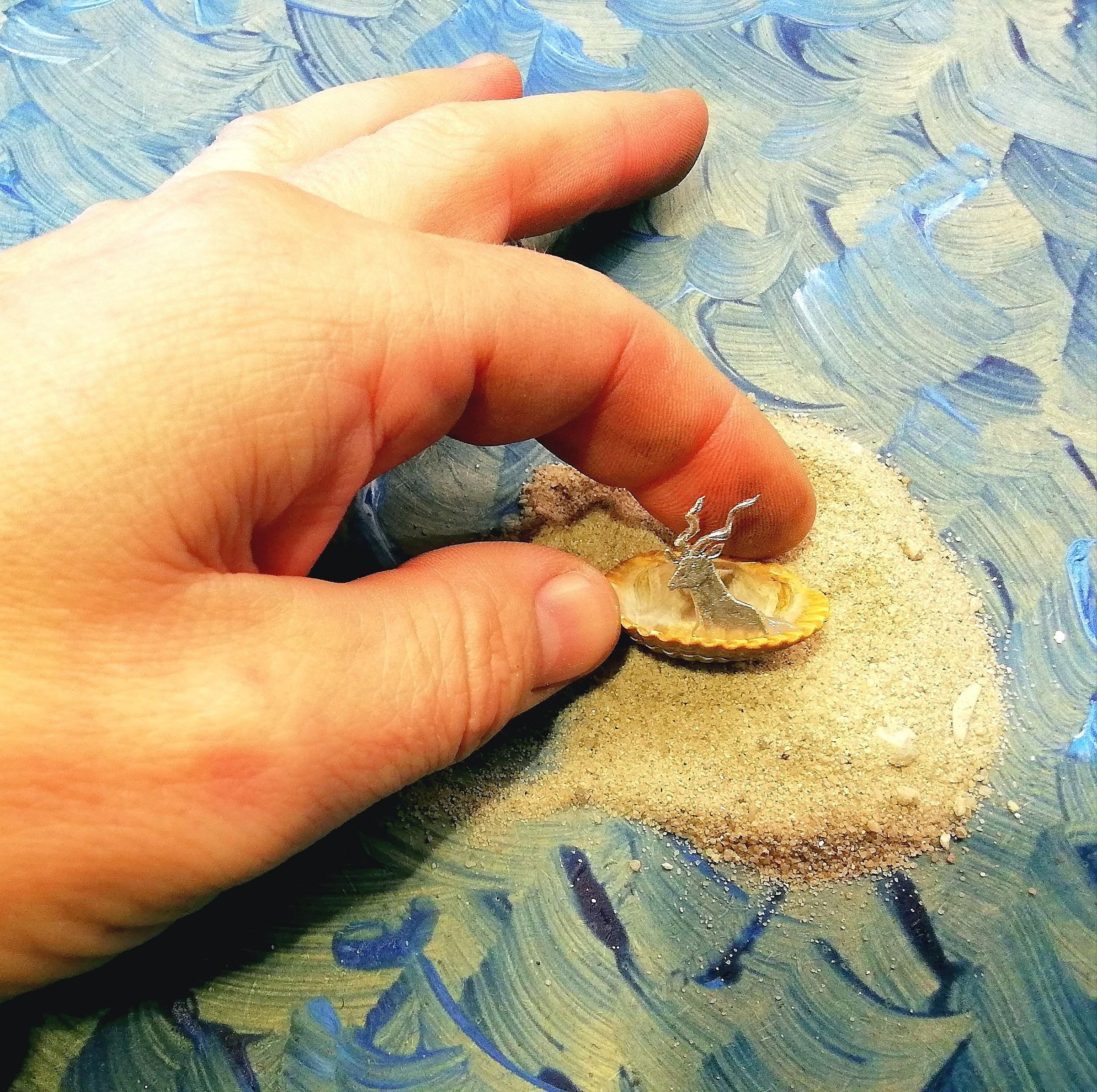 Small Gifts: Coin Animals in Sea Shells : 10 Steps (with Pictures ...