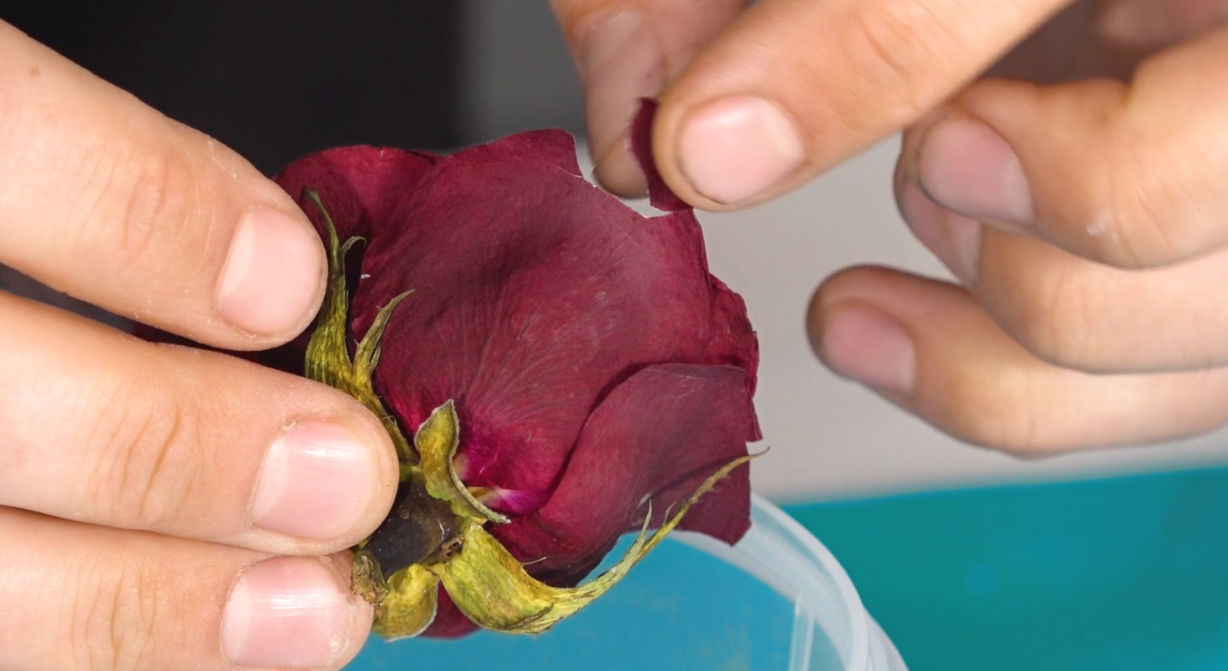 How to Cast Flowers in Epoxy Resin - DIY Resin Rose Paperweight! : 8 ...