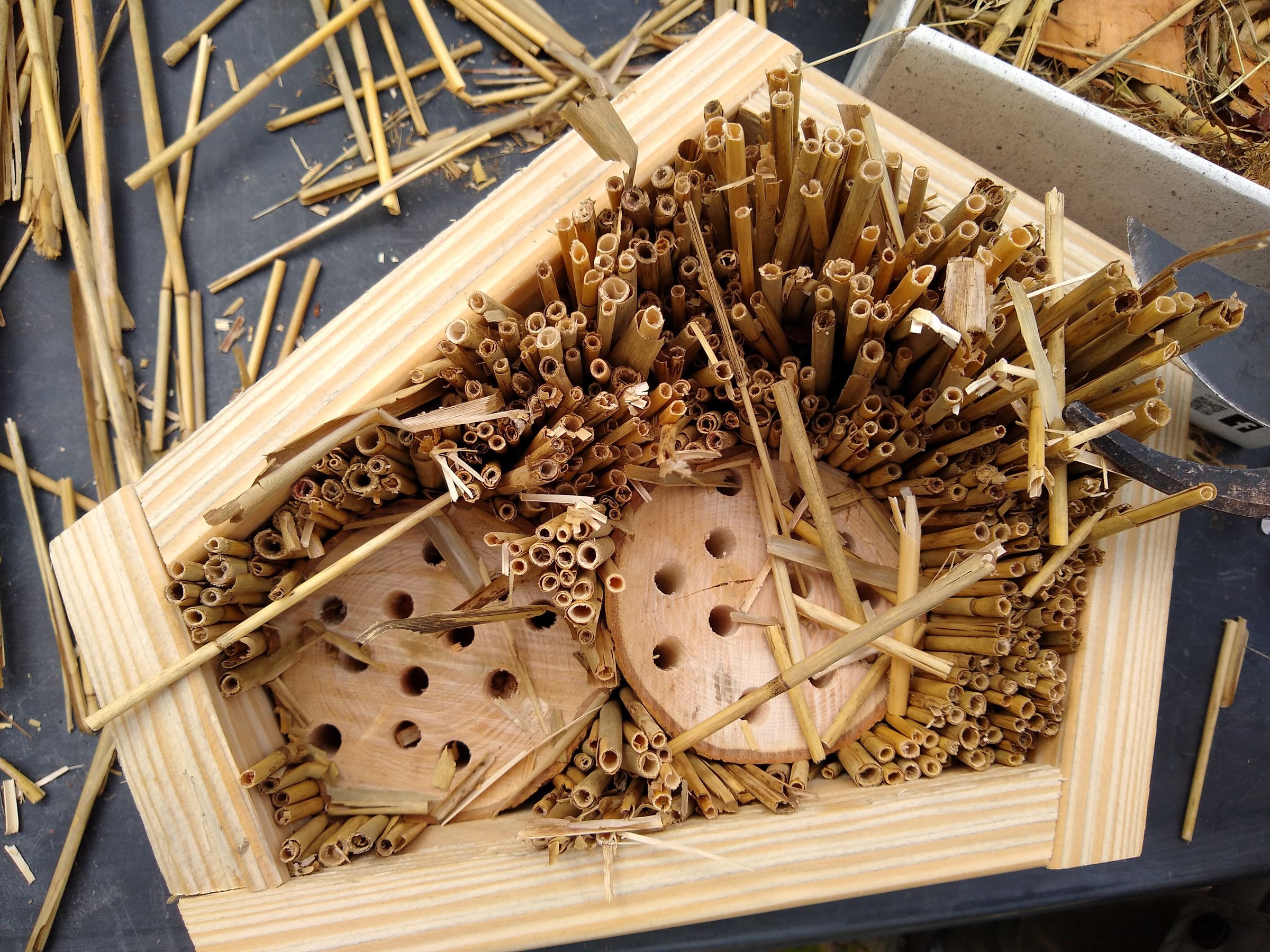 Emergent Insect Hotels : 6 Steps (with Pictures) - Instructables
