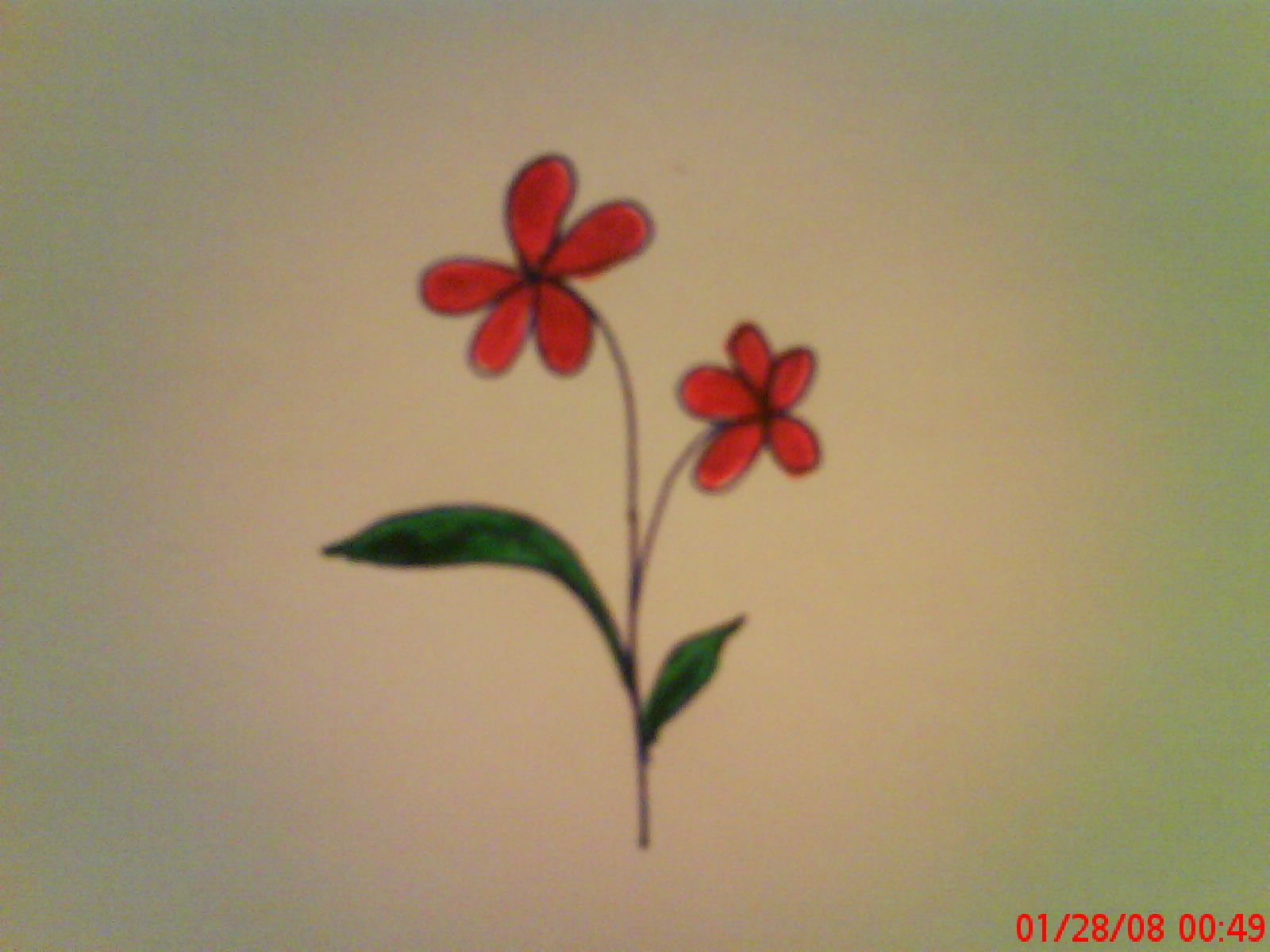 How to Draw a Flower : 3 Steps (with Pictures) - Instructables