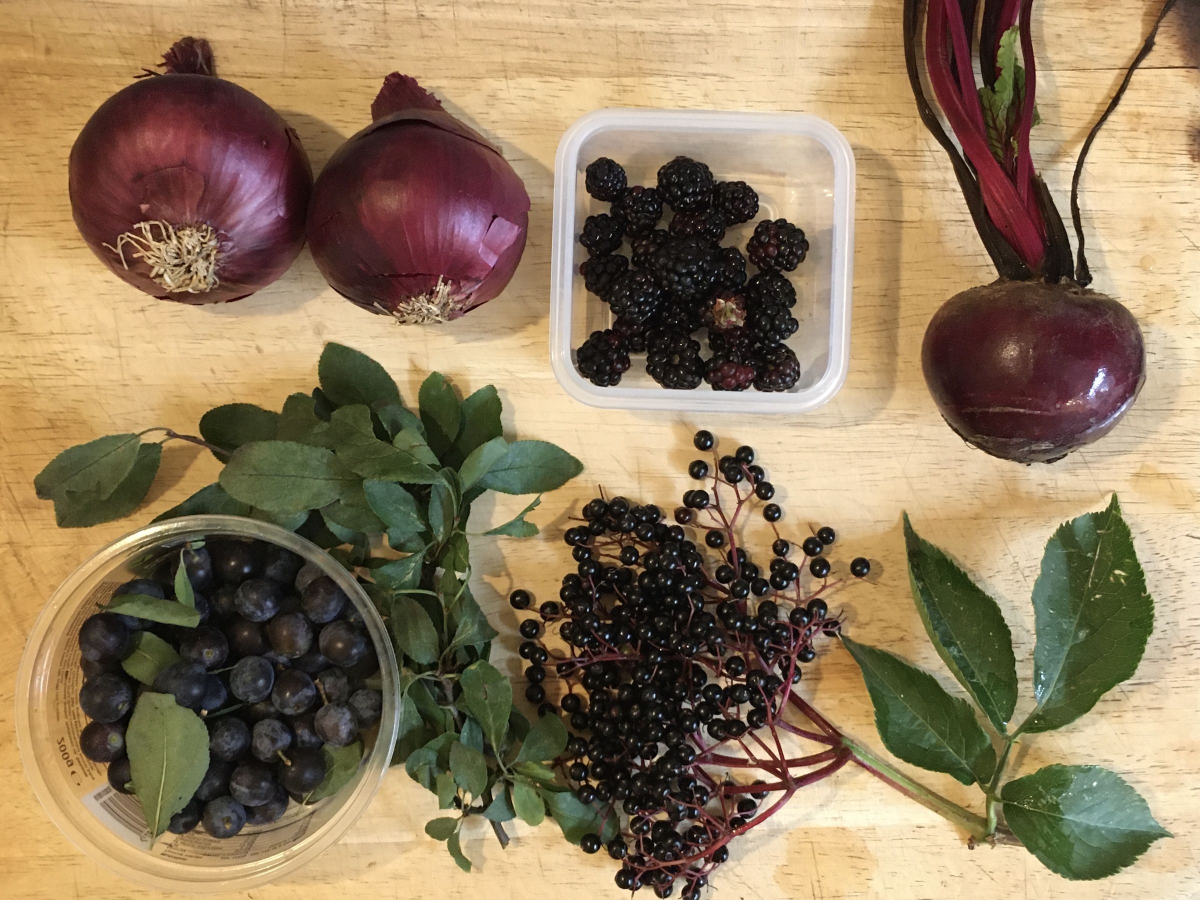 Home Made Ink From Nature: Perfect Purples : 18 Steps (with Pictures ...