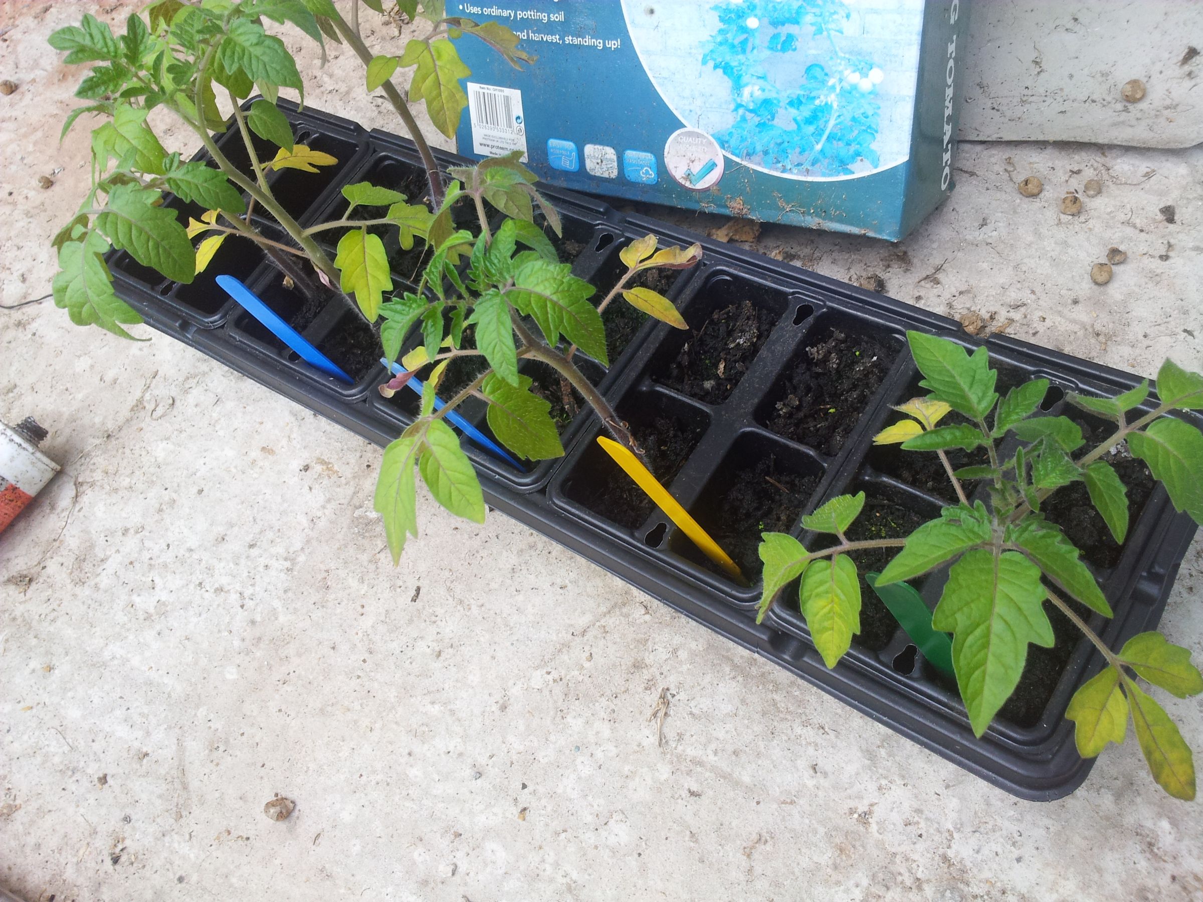 How to Setup and Run a Hydroponics System : 7 Steps (with Pictures ...