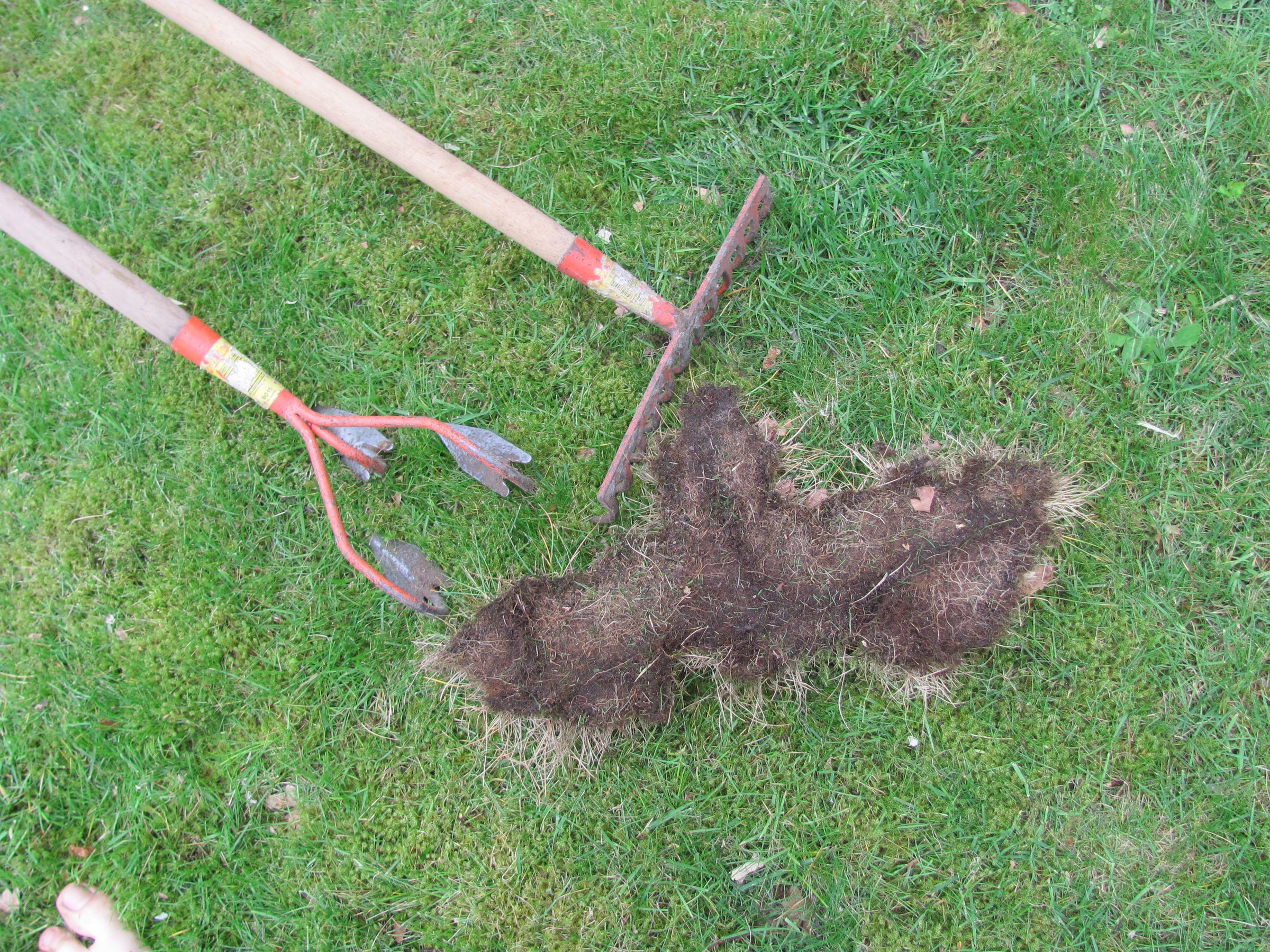 Grass Patching - Instructables