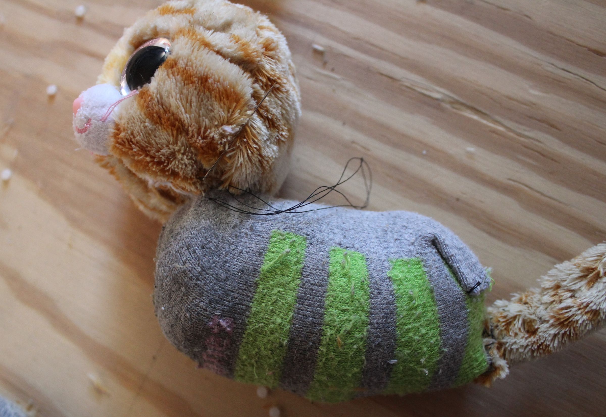 How to Make a Franken-Kitty : 4 Steps (with Pictures) - Instructables