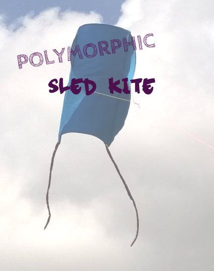 Sled Kite