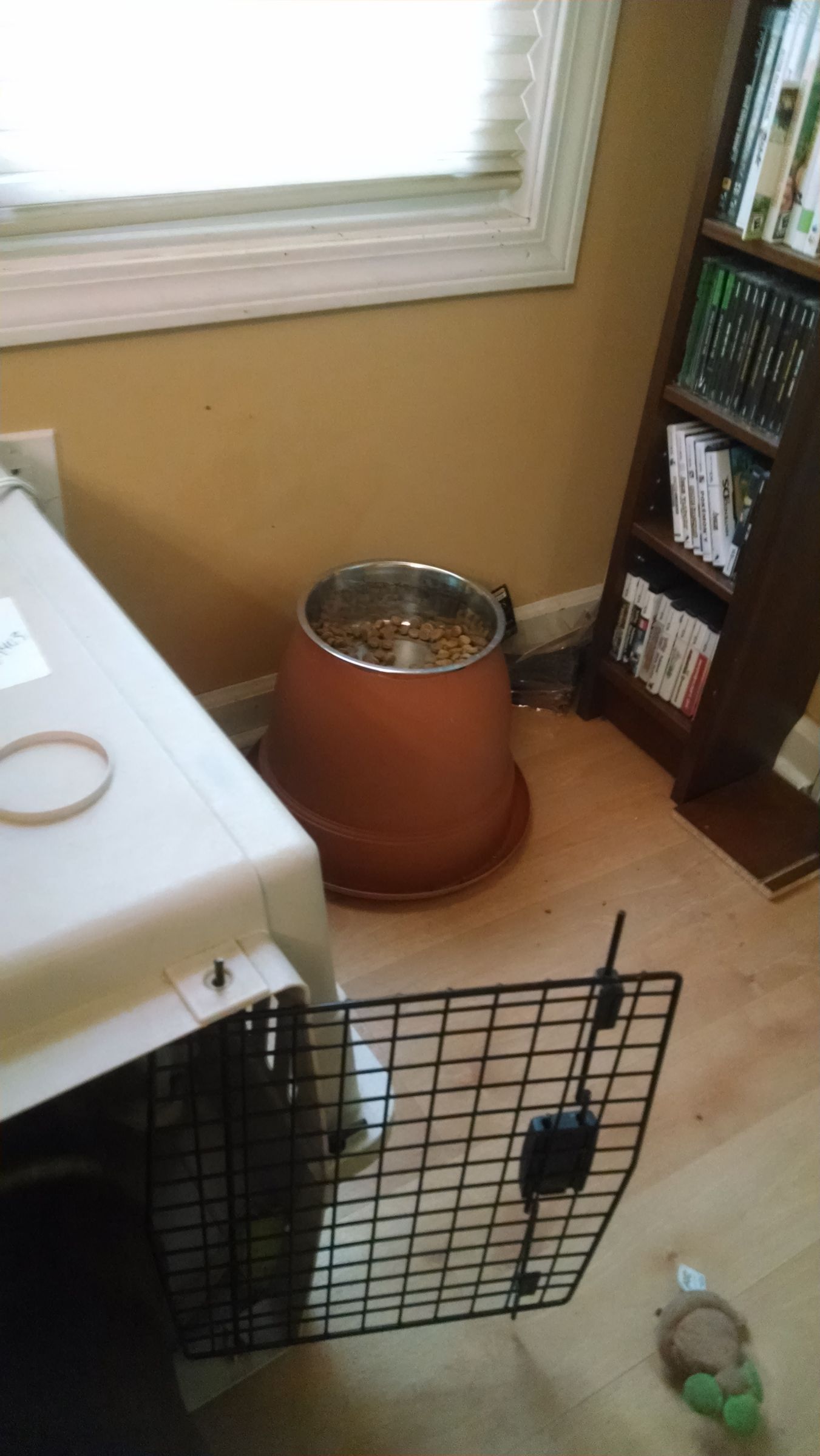 Plantpot Dog Dishes : 3 Steps (with Pictures) - Instructables