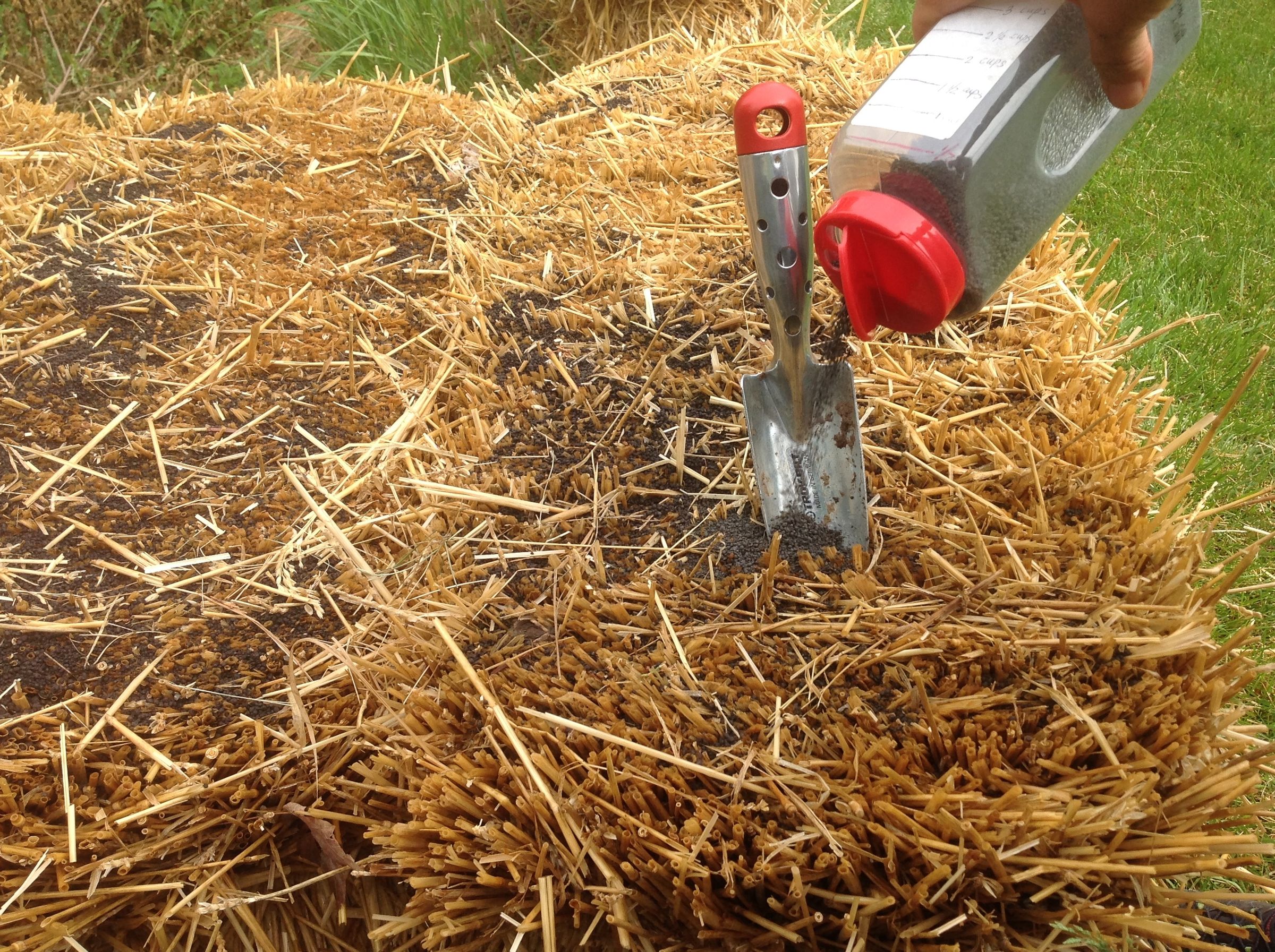 Straw Bale Gardening : 8 Steps (with Pictures) - Instructables