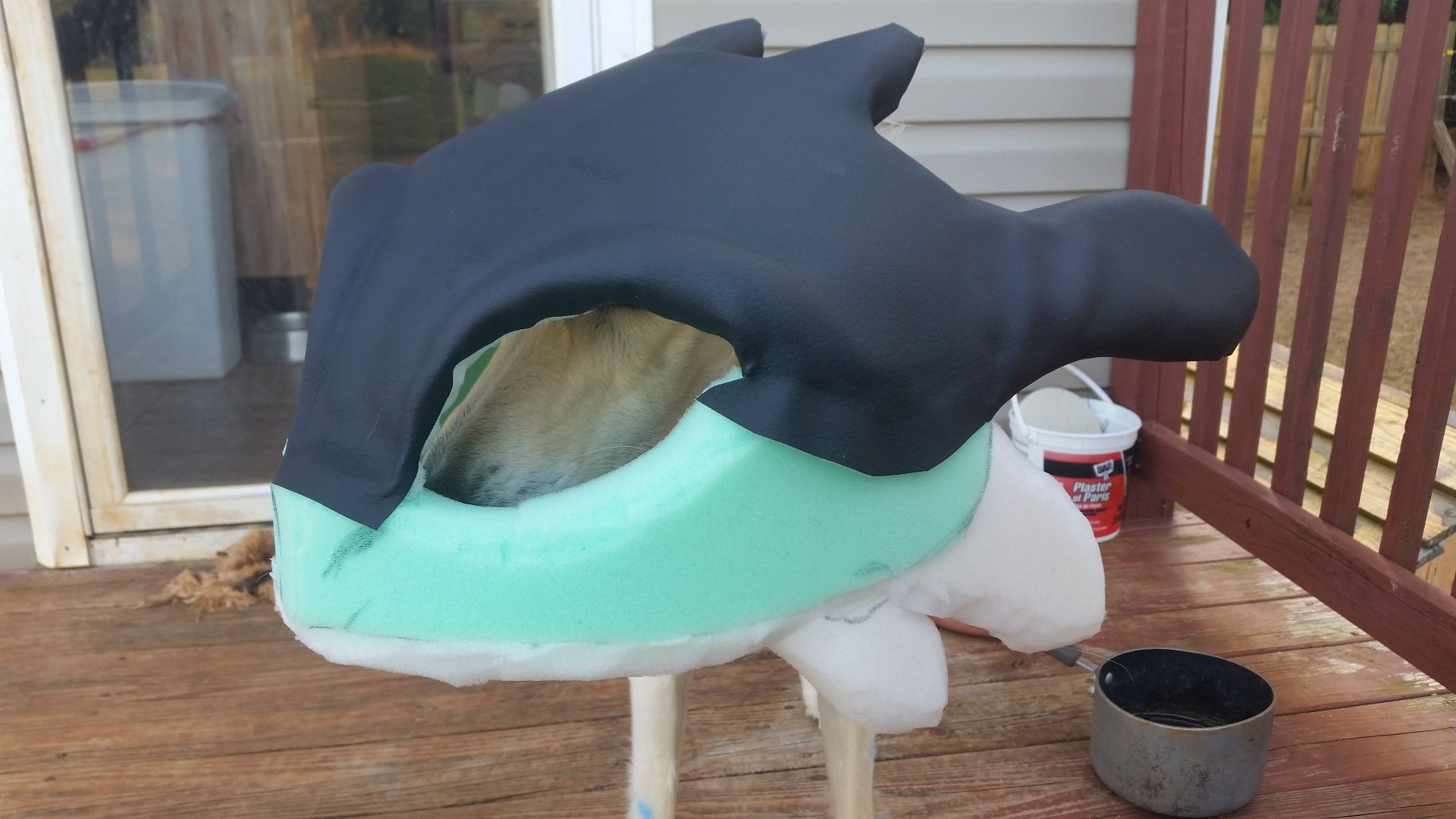Toothless Costume (for Dogs!) : 6 Steps (with Pictures) - Instructables