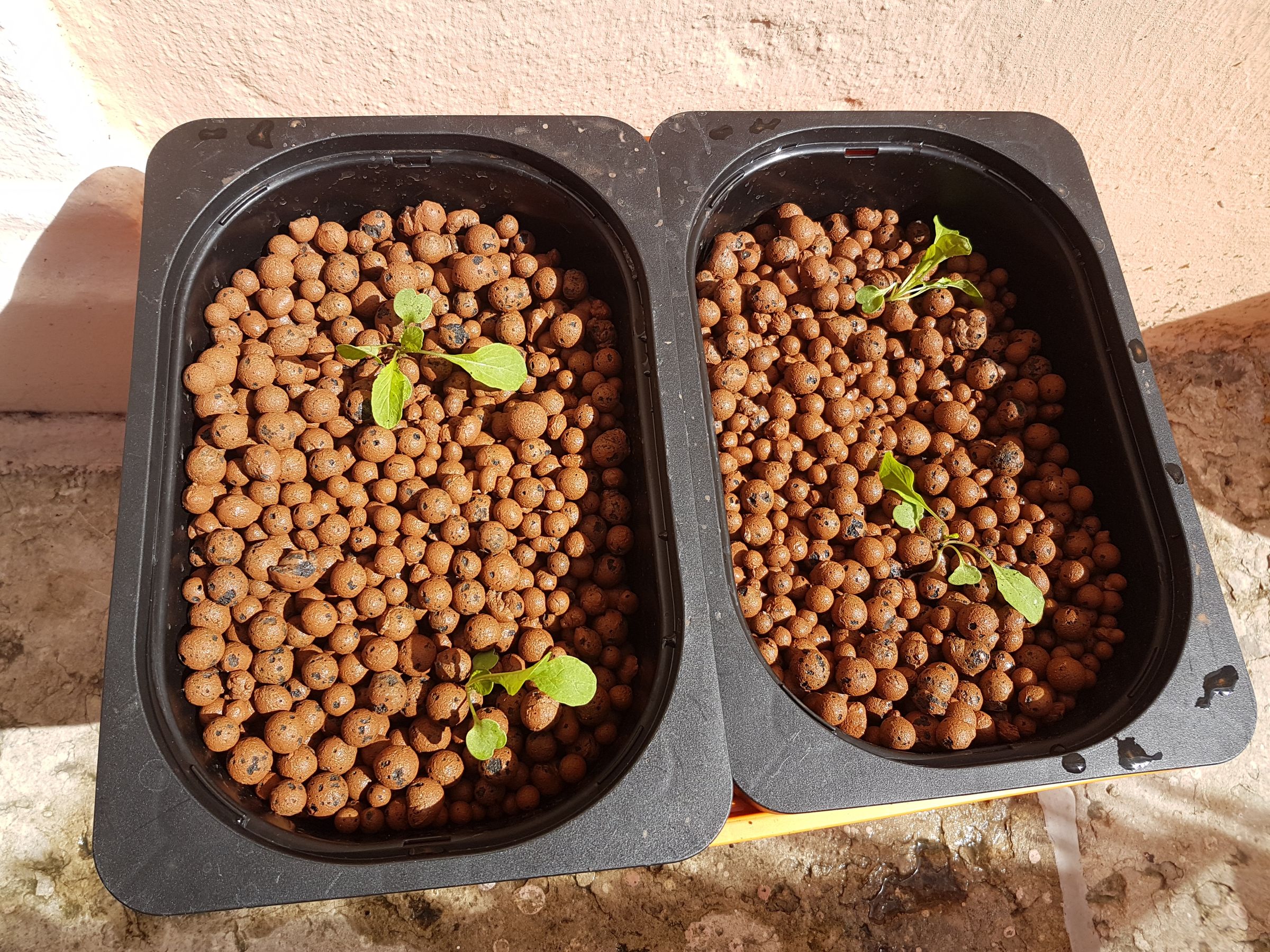 First Timer Hydroponics: DWC System : 9 Steps (with Pictures ...