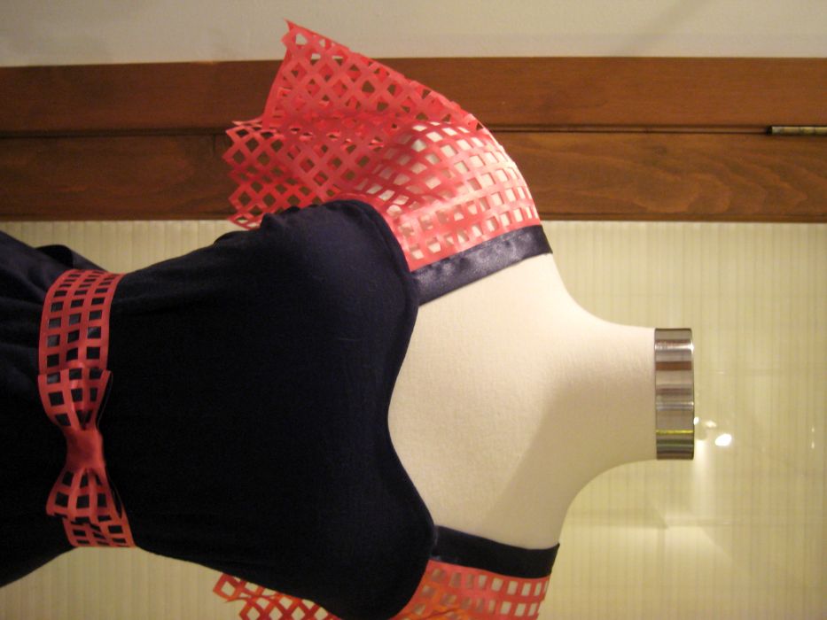 Black and Coral Laser Cut Dress : 5 Steps (with Pictures) - Instructables