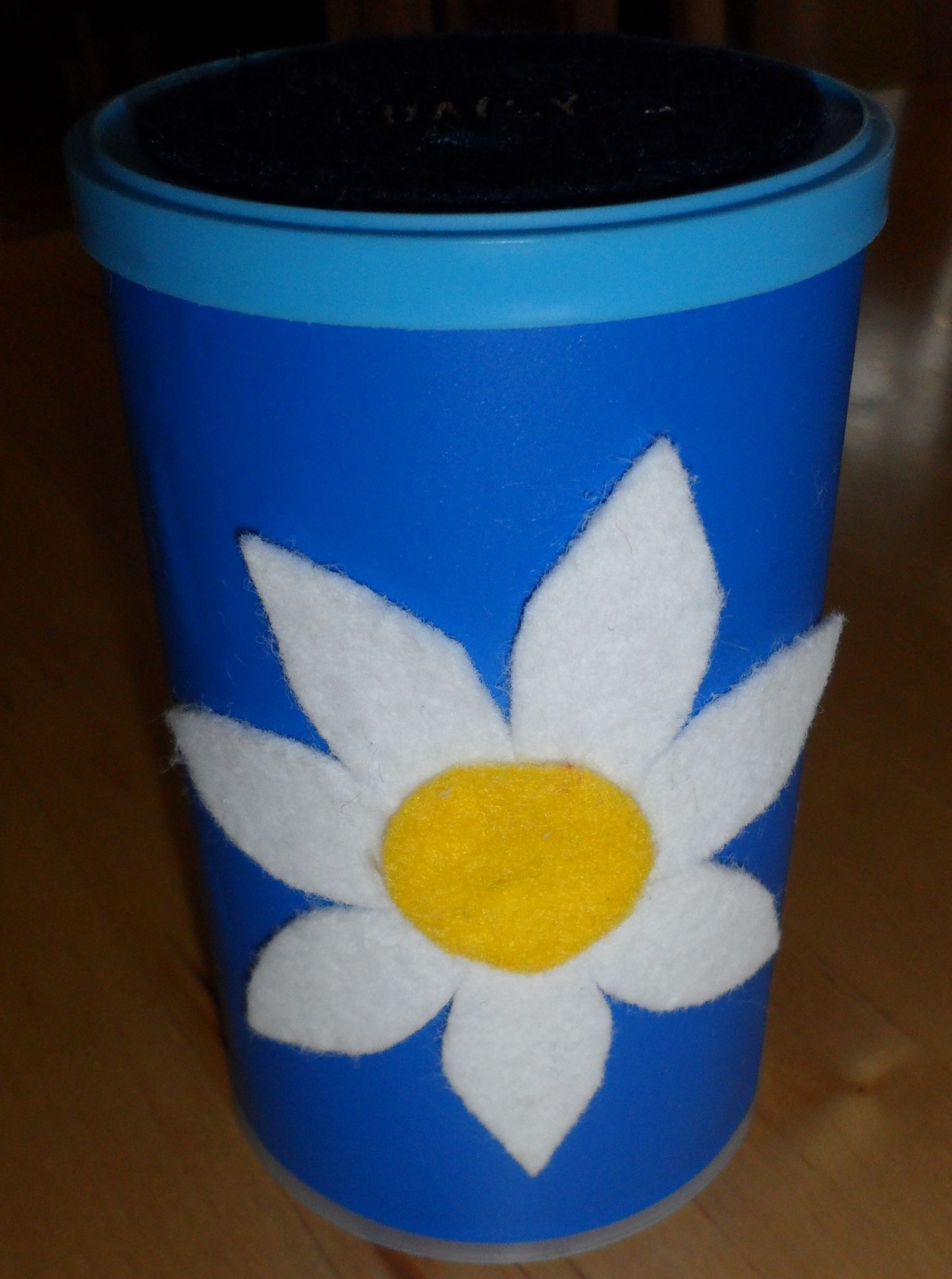 Daisy, Brownie, and Girl Scout Containers : 9 Steps - Instructables