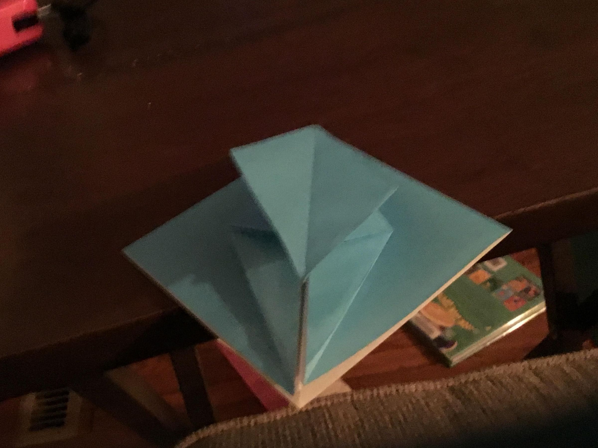 Origami Otter : 4 Steps - Instructables