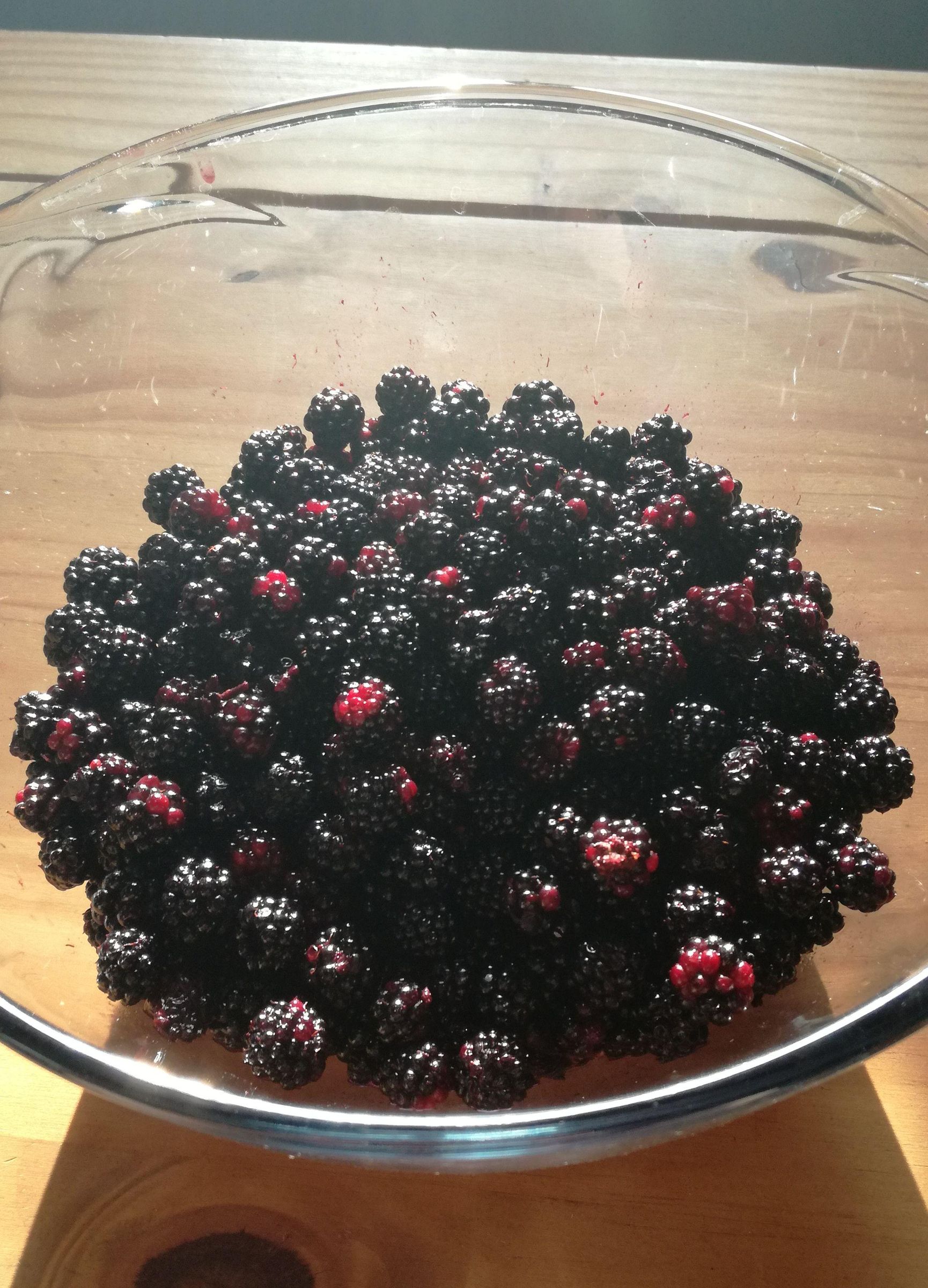 Foraged Fruit Parcels : 5 Steps (with Pictures) - Instructables