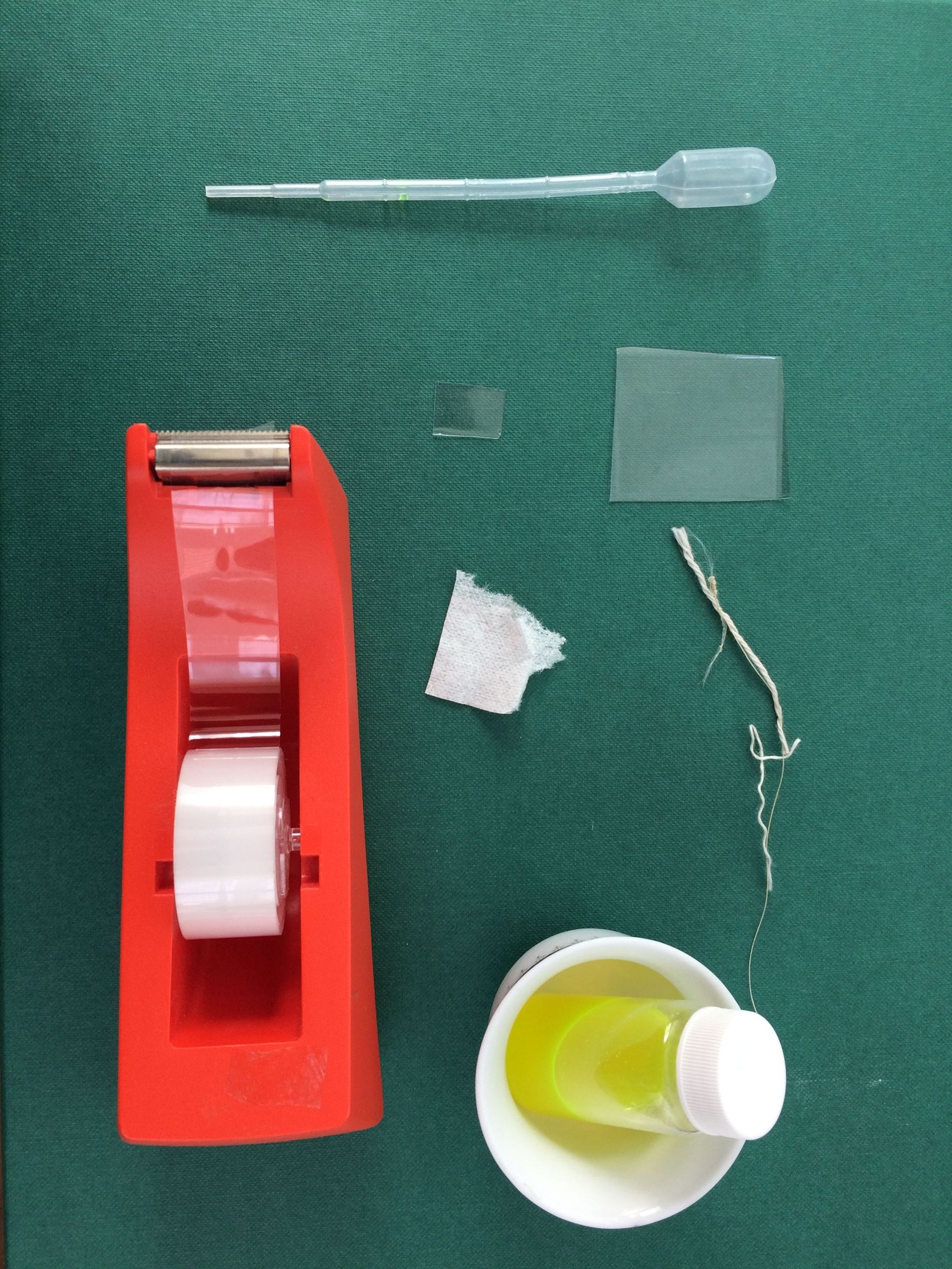 Low-cost Fluorescence and Brightfield Microscopes : 9 Steps (with ...