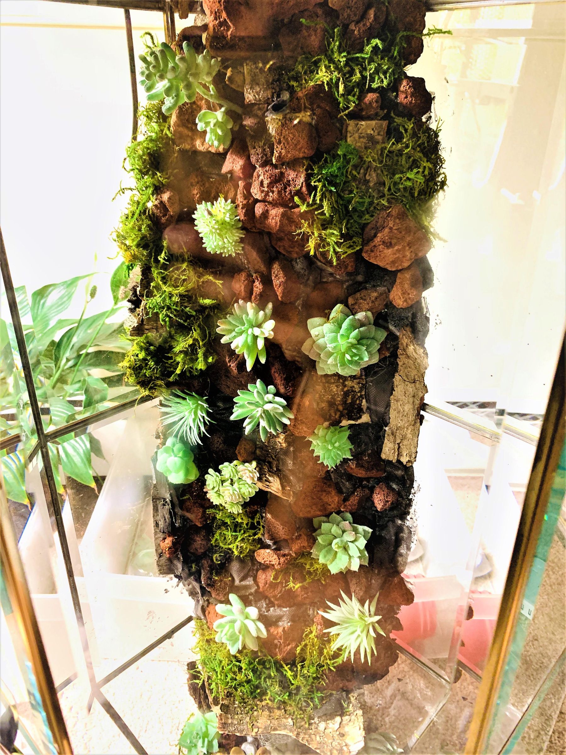 Repurposed Glass Chandelier Into Live Moss Drip Wall and Faux Terrarium ...
