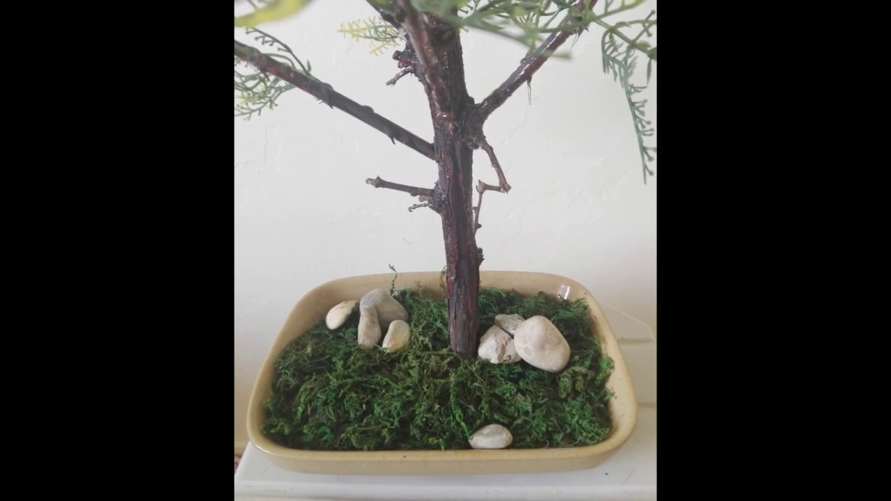 DIY Pine Tree ,Easy and Beautiful Tree : 5 Steps - Instructables