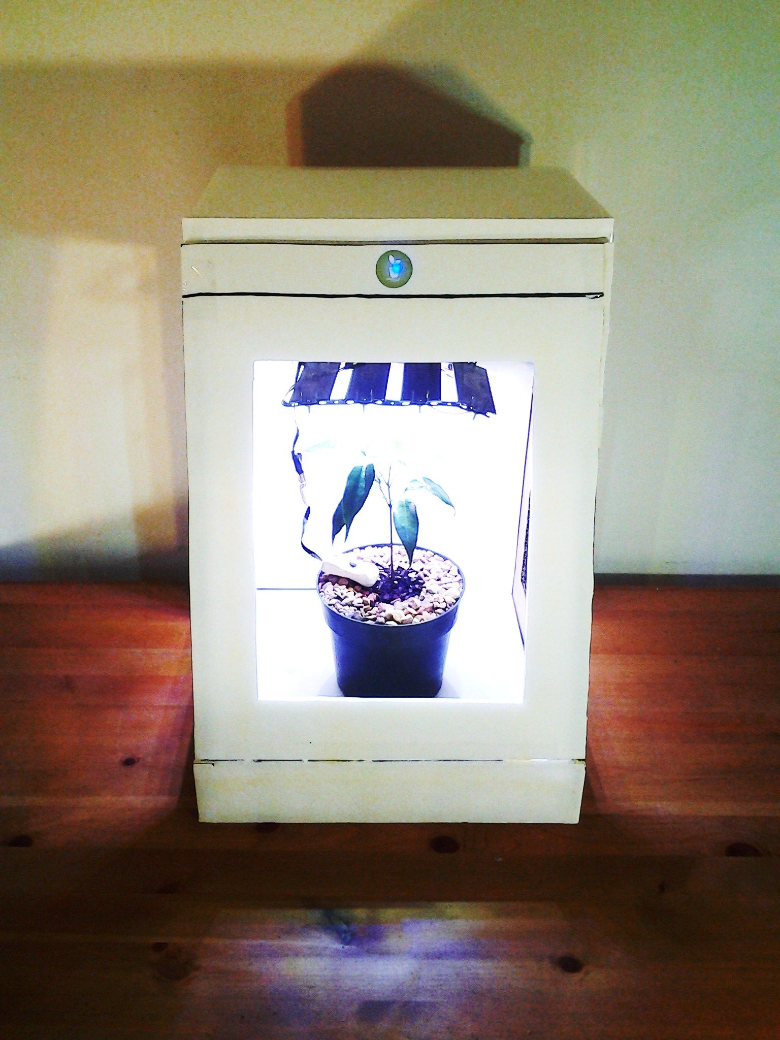 The Plant Box : 6 Steps - Instructables