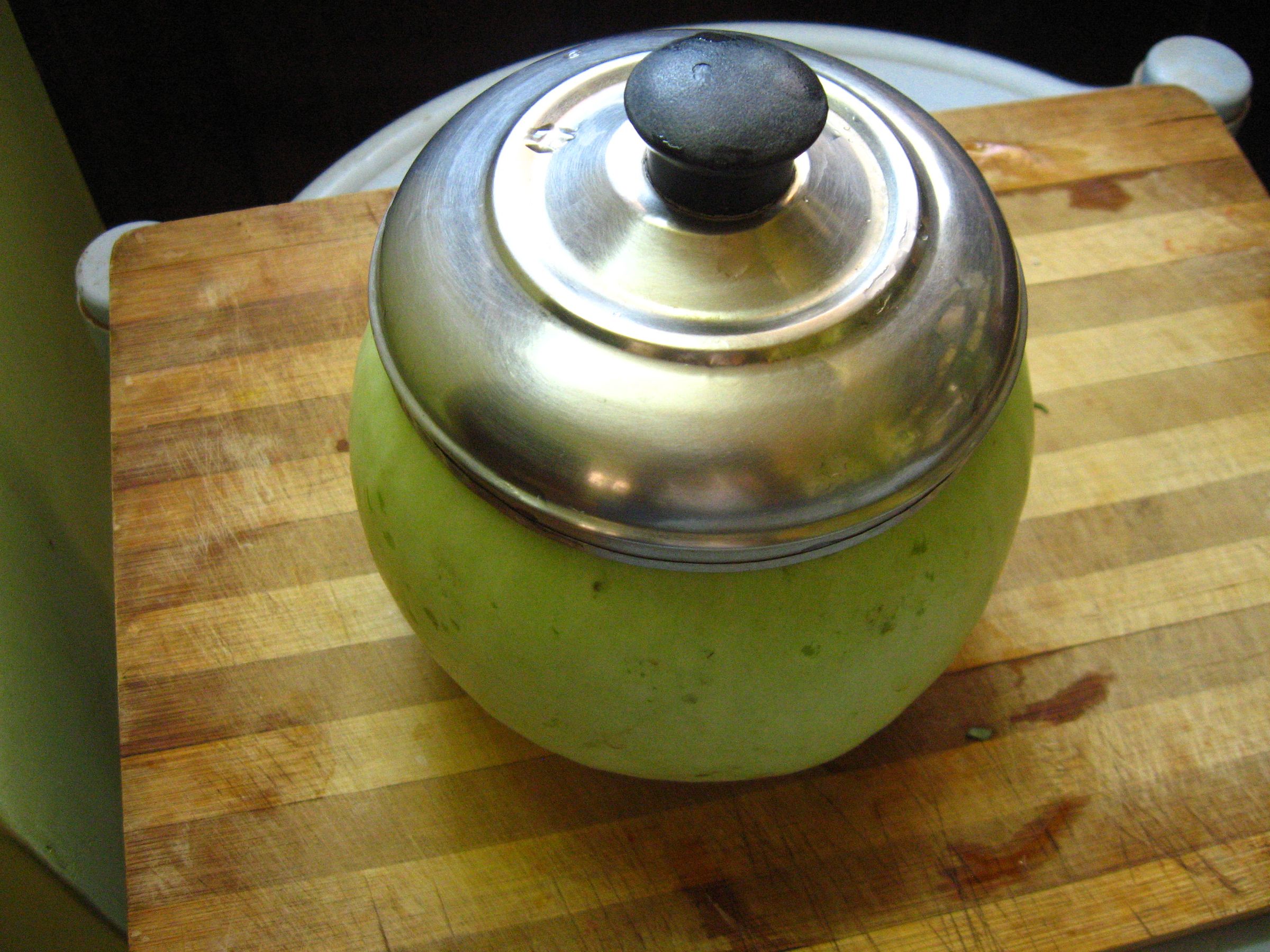 Seed Germination With Bottle Gourd Shell As Planter : 6 Steps (with ...