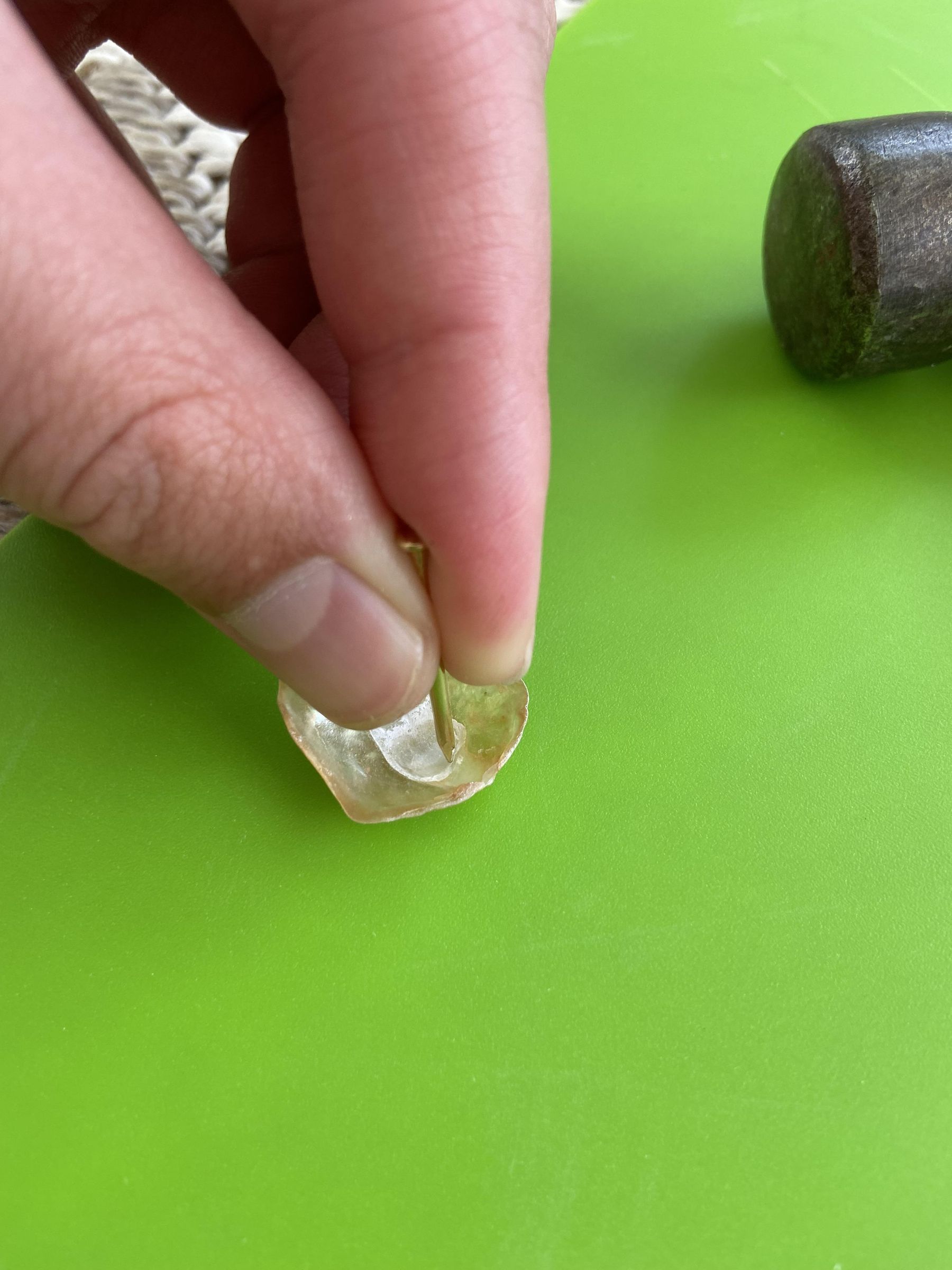 Seashell Wall Hanging : 6 Steps (with Pictures) - Instructables