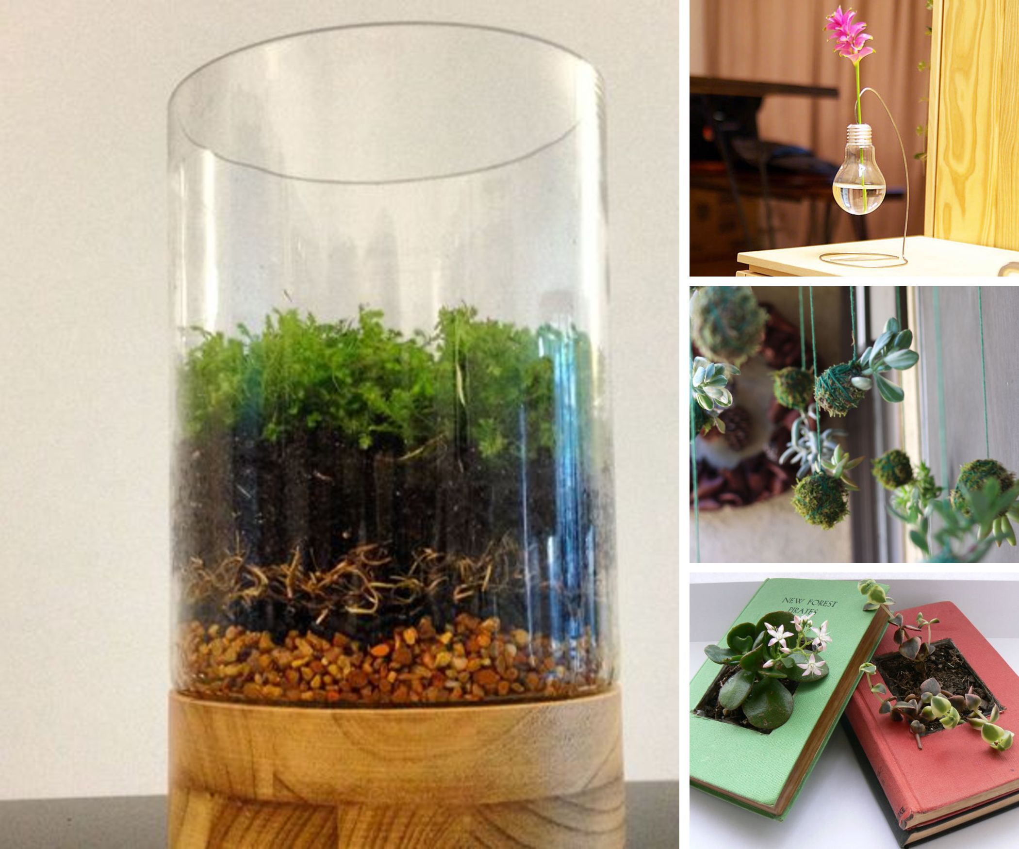 Plant Things - Instructables