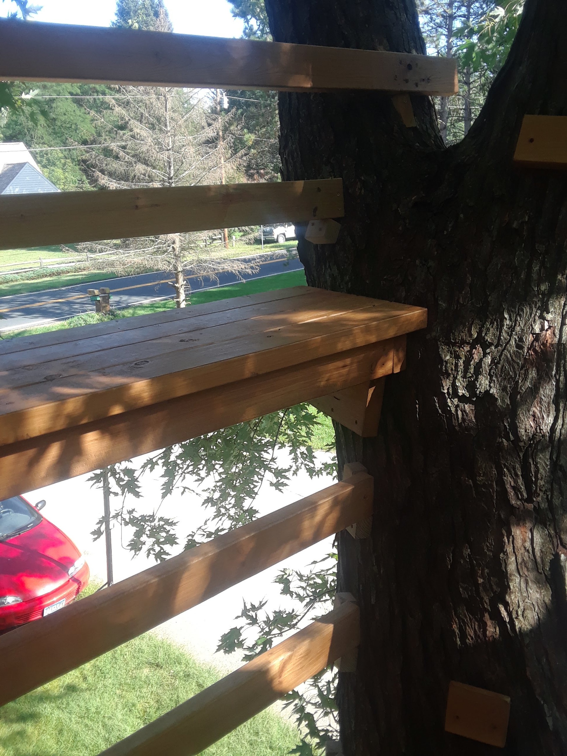 Tree House With Bench and Pulley System : 11 Steps - Instructables