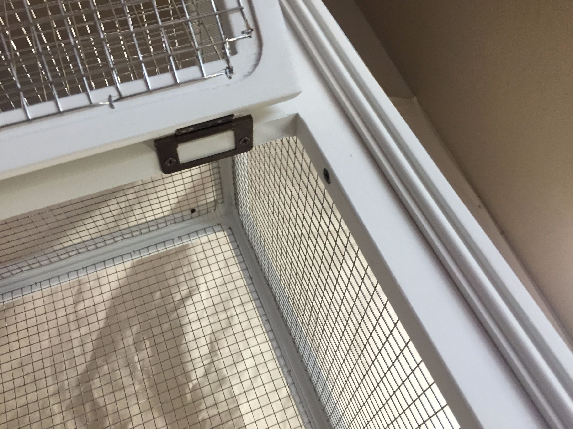 Jennifer's Display Cage W/Removable Divider - Instructables