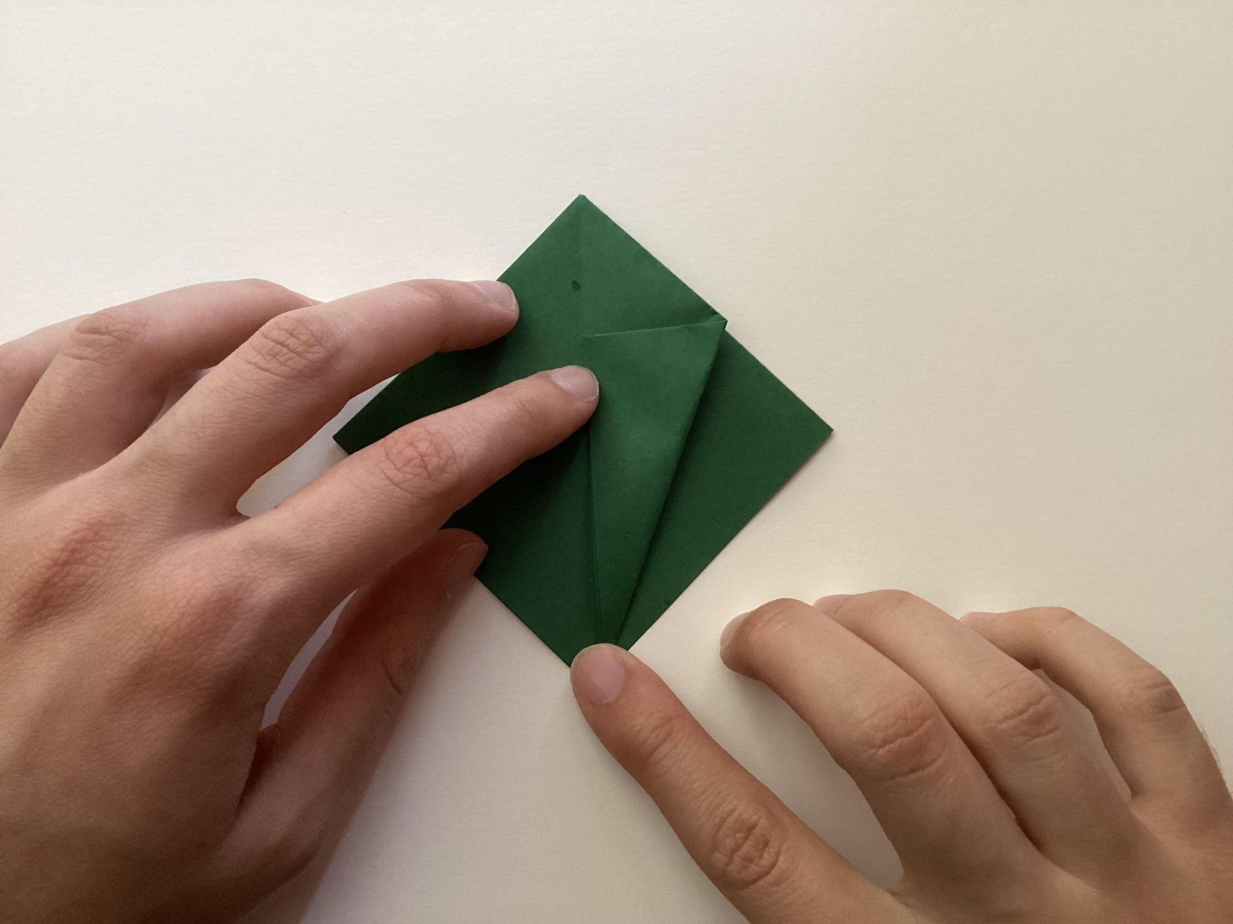 Origami Velociraptor : 12 Steps - Instructables