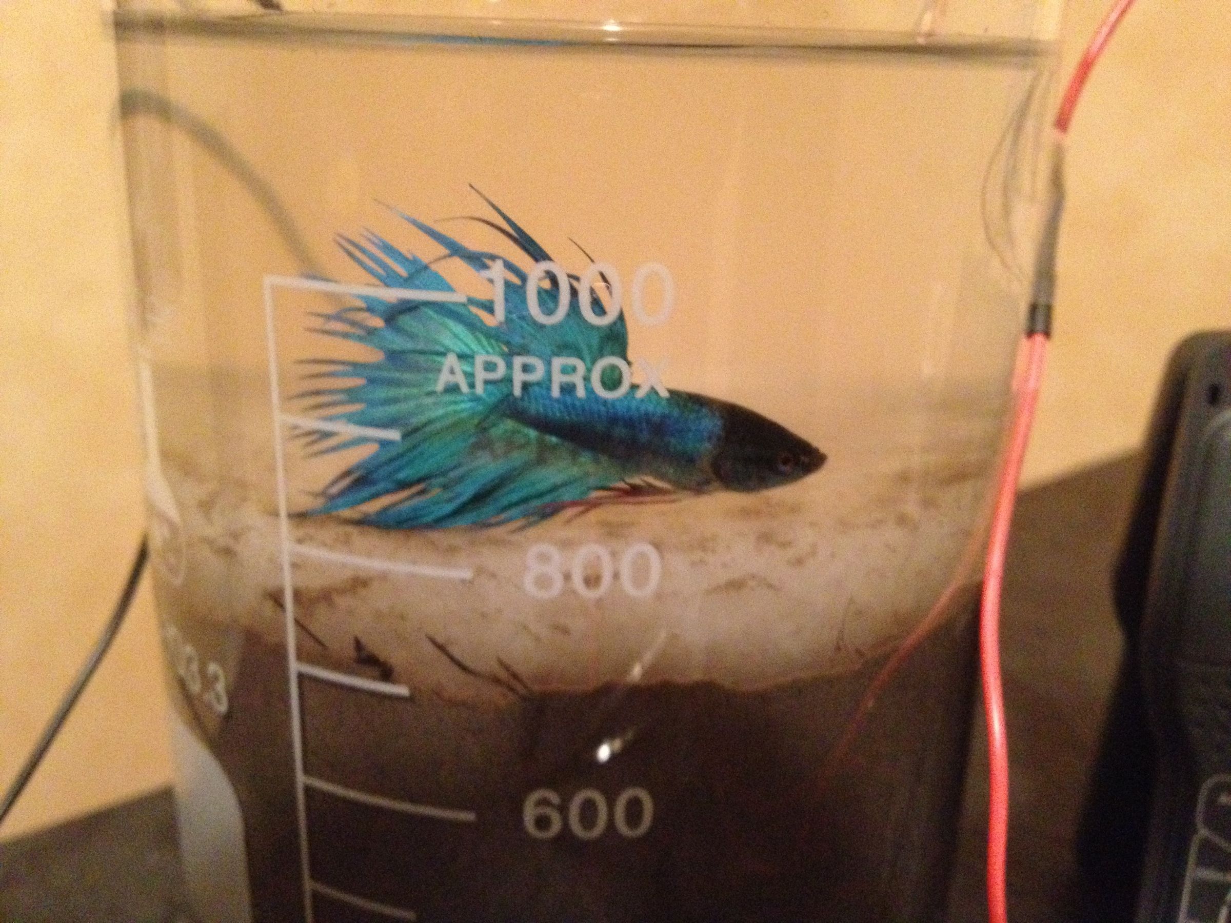 Microbial Fuel Cell of Science!!! : 4 Steps (with Pictures) - Instructables